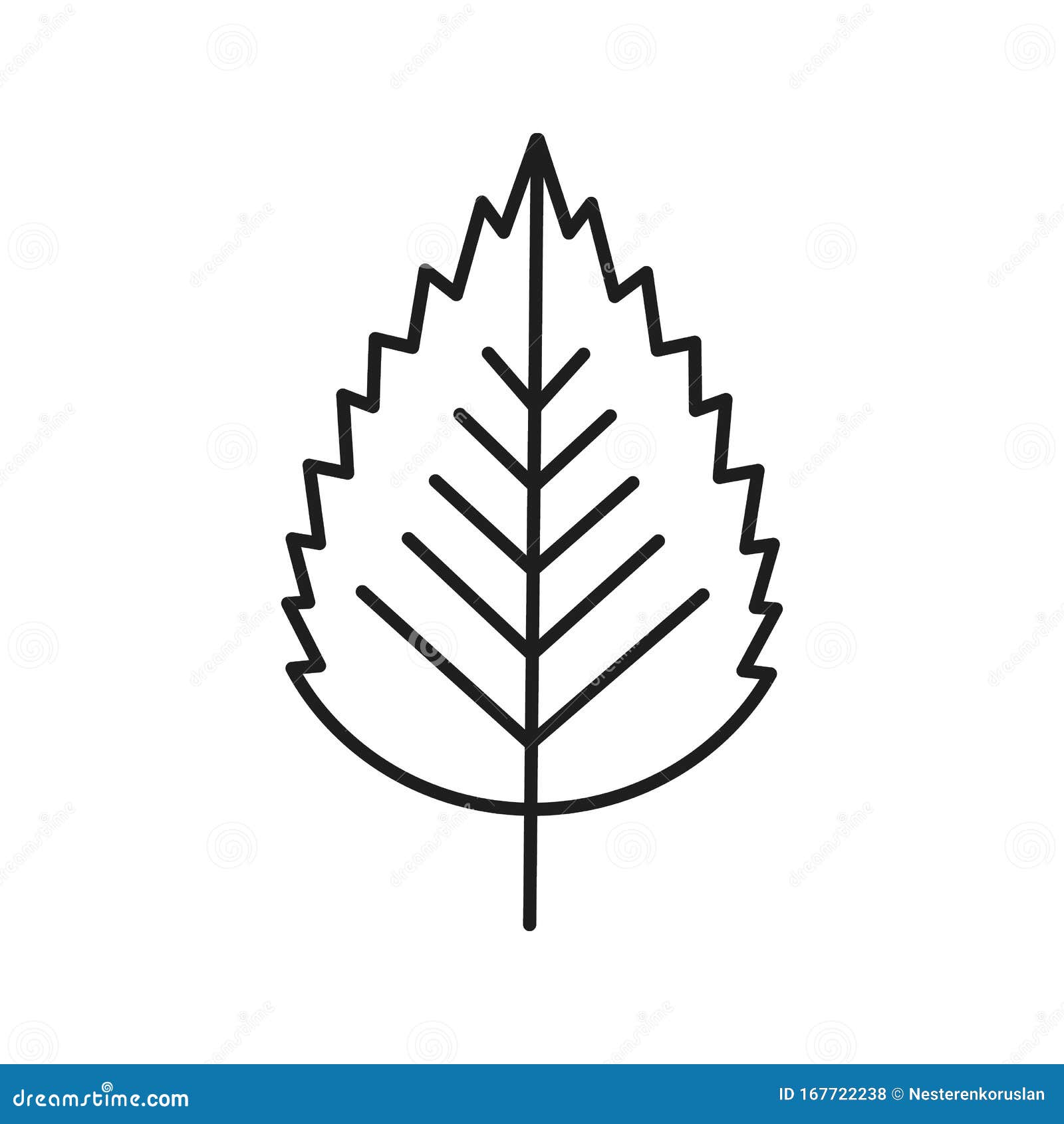 Birch leaf linear icon stock vector. Illustration of flora - 167722238