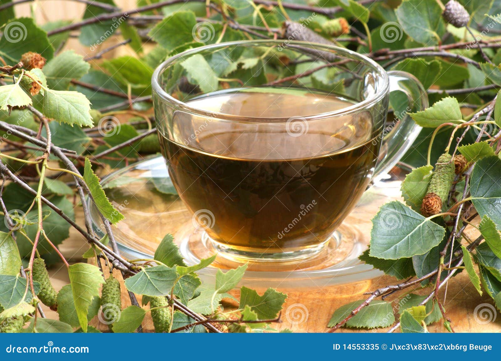 Birch leaf tea stock image. Image of glass, healthy, leaf - 14553335