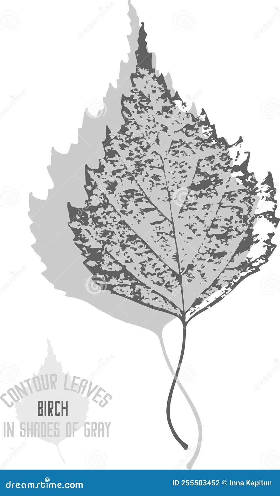 Birch Leafs Pattern Vector Illustration Stock Vector - Illustration of ...