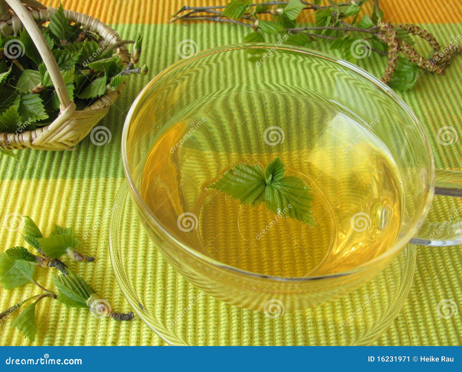 Birch leaves tea stock image. Image of betula, cure, herbal - 16231971