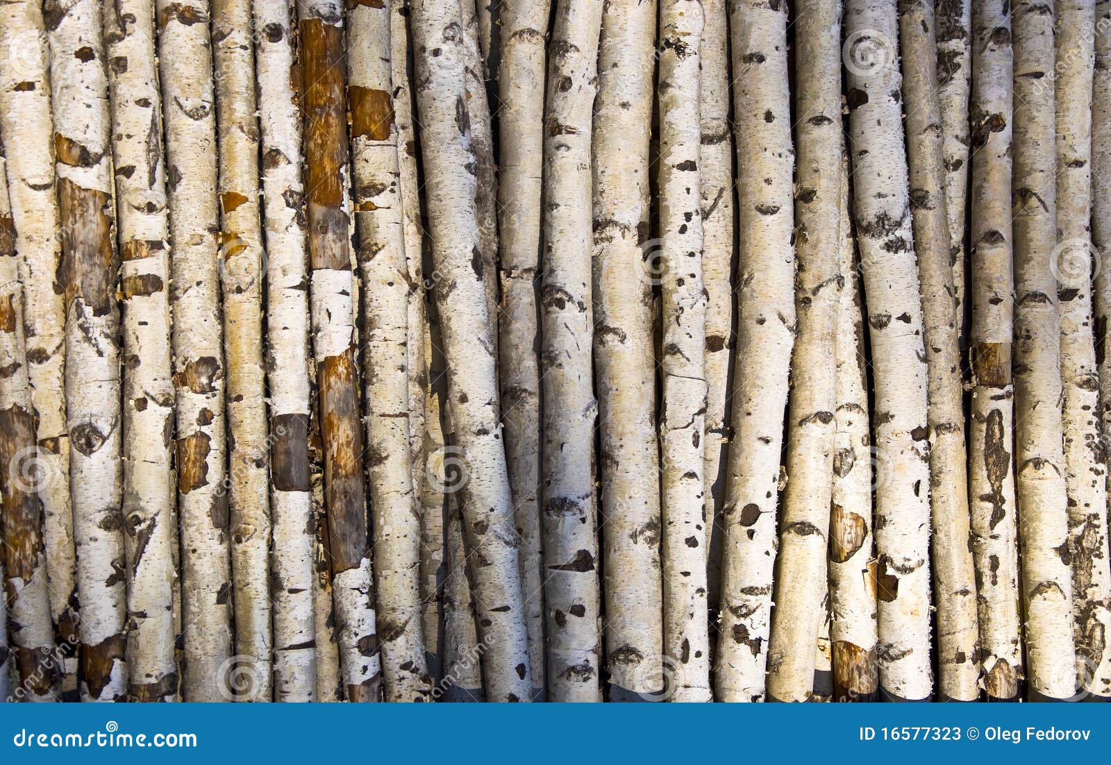 Birch Log Stock Photos - Image: 16577323