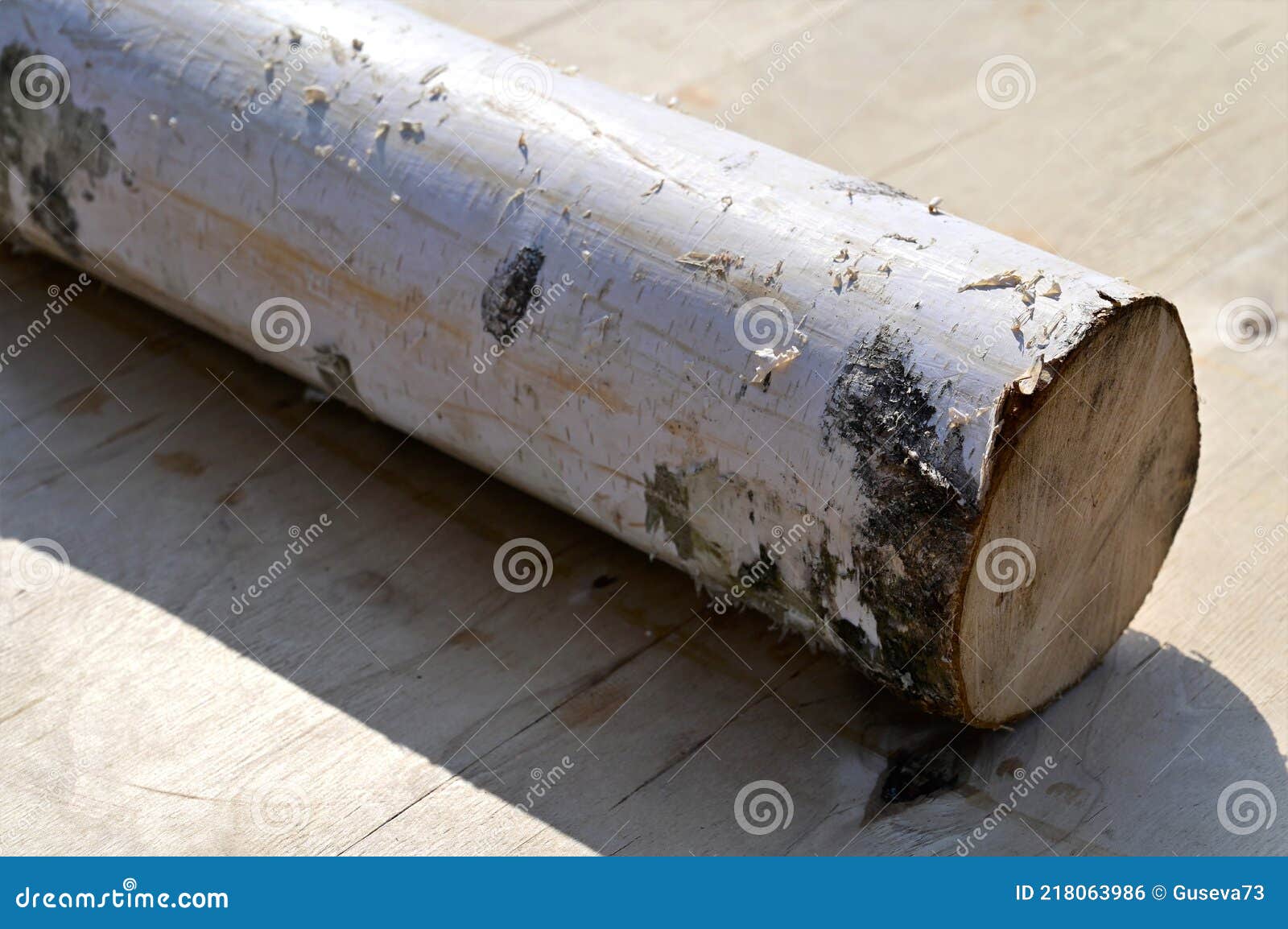 Birch Log Close-up Outdoors in Sunny Weather Stock Photo - Image of ...