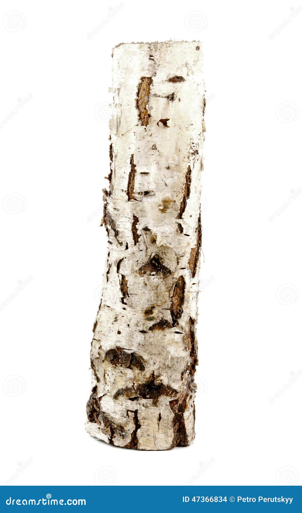 Birch log stock photo. Image of heap, uneven, dead, ring - 47366834