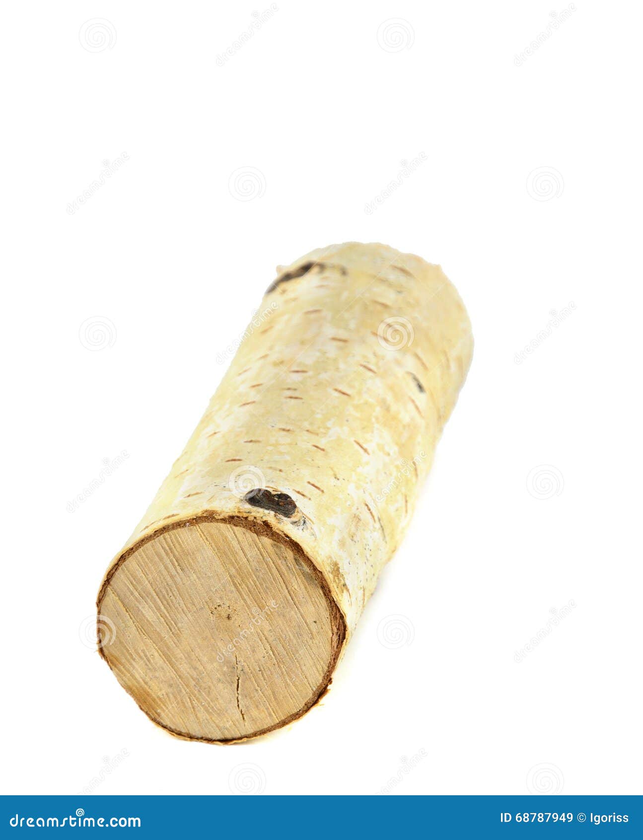 Birch Log Isolated on White Stock Image - Image of material, woody ...