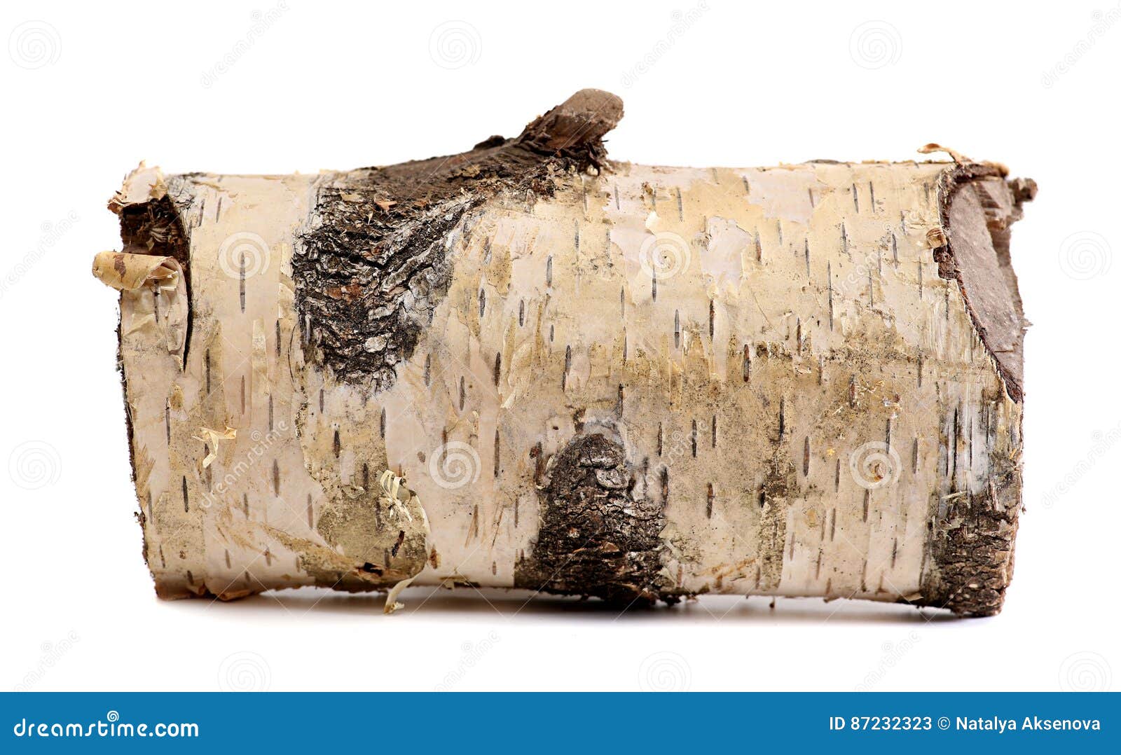 Birch Log Isolated on a White Background. Wooden Log Firewood Stock ... Birch Log Isolated on a White Background. Wooden Log Firewood Stock ...