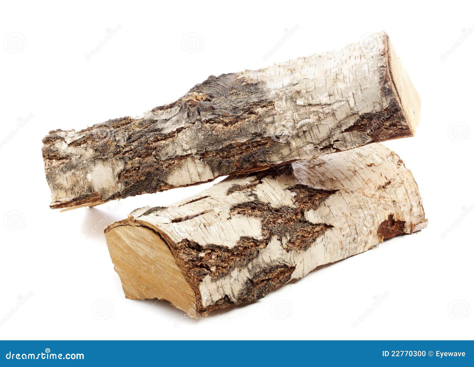Birch log wood isolated stock photo. Image of birch, wood - 22770300