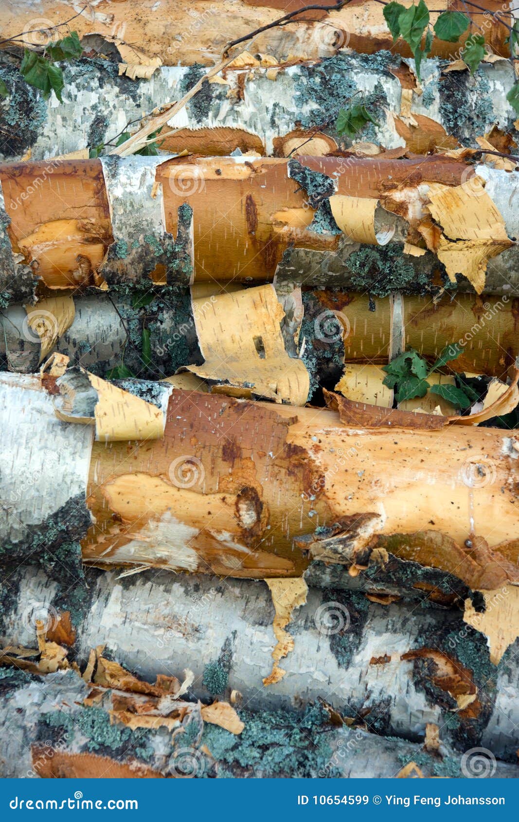 Birch logs stock image. Image of heap, birch, rural, nature - 10654599