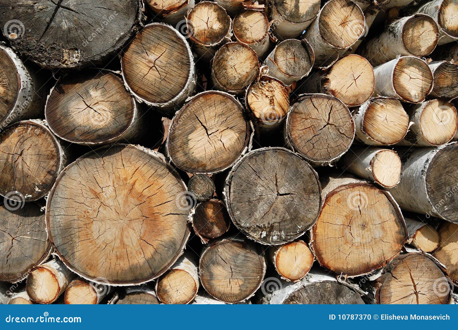 Birch logs stock photo. Image of rind, brown, material - 10787370