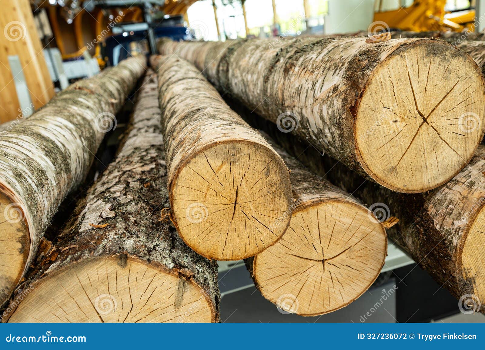 Birch Logs on the Back of a Truck.. Stock Photo - Image of grass ...