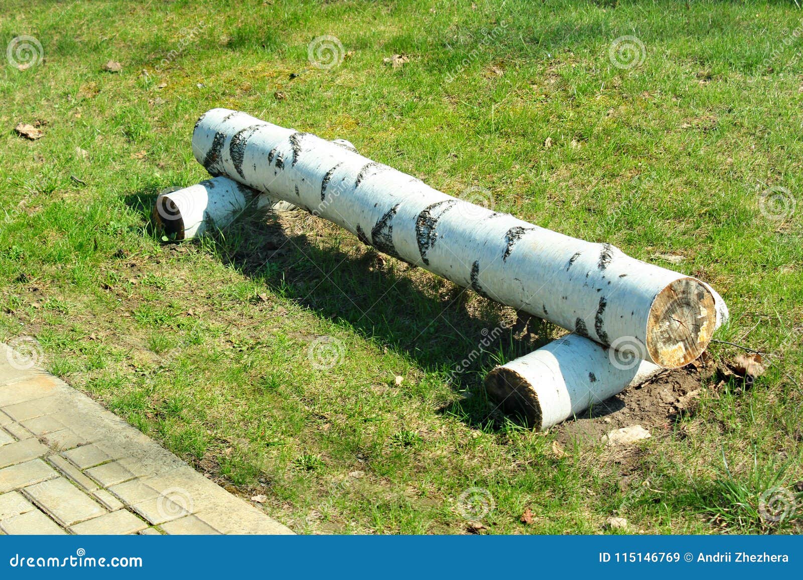 Birch Logs Bench on Green Grass Stock Image - Image of forest, seat ...