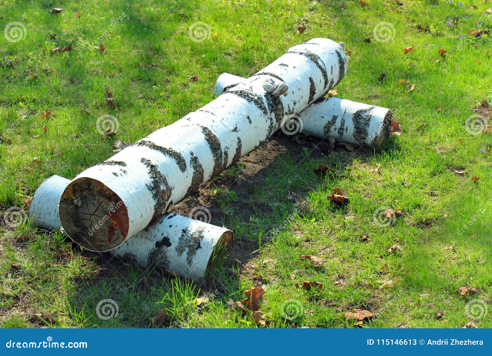 Birch Logs Bench on Green Grass Stock Image - Image of trees, park ...