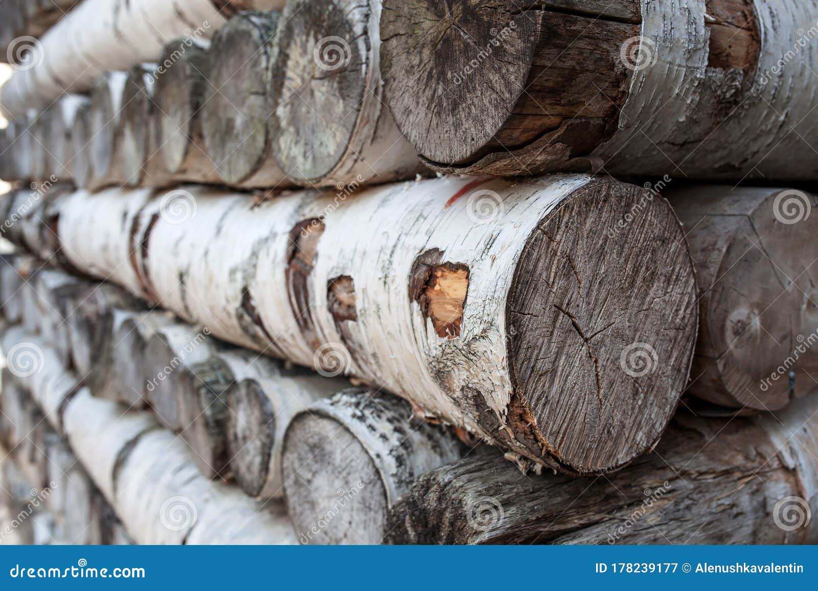 Birch logs stock image. Image of timber, architecture - 178239177