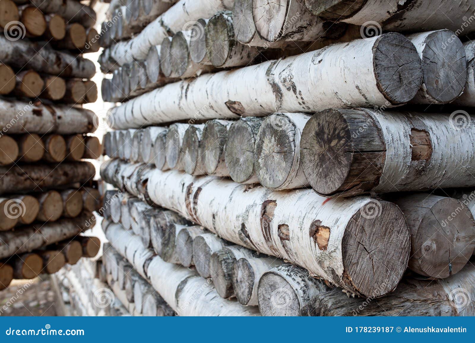 Birch logs stock image. Image of environment, lumber - 178239187