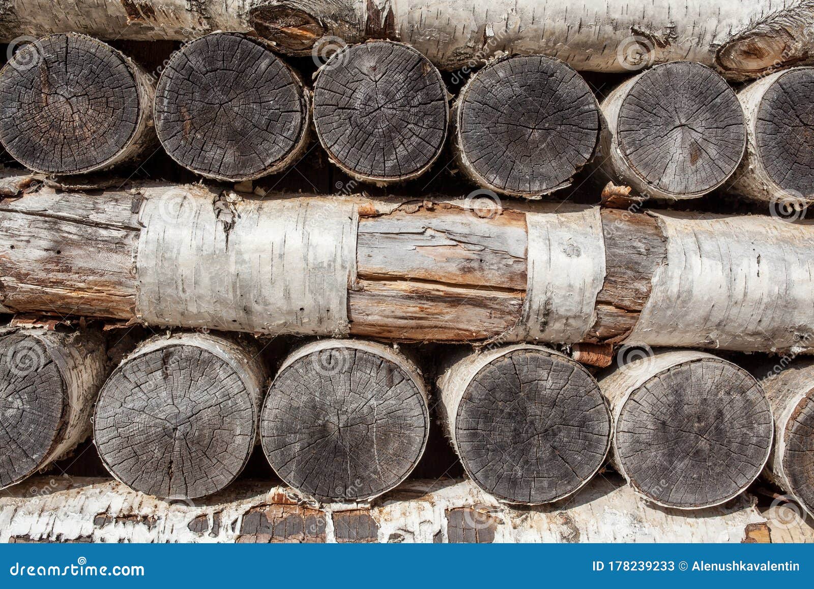 Birch logs stock image. Image of construction, structure - 178239233