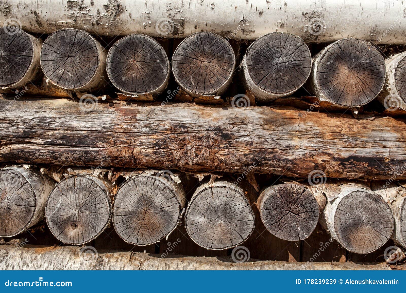 Birch logs stock image. Image of texture, construction - 178239239