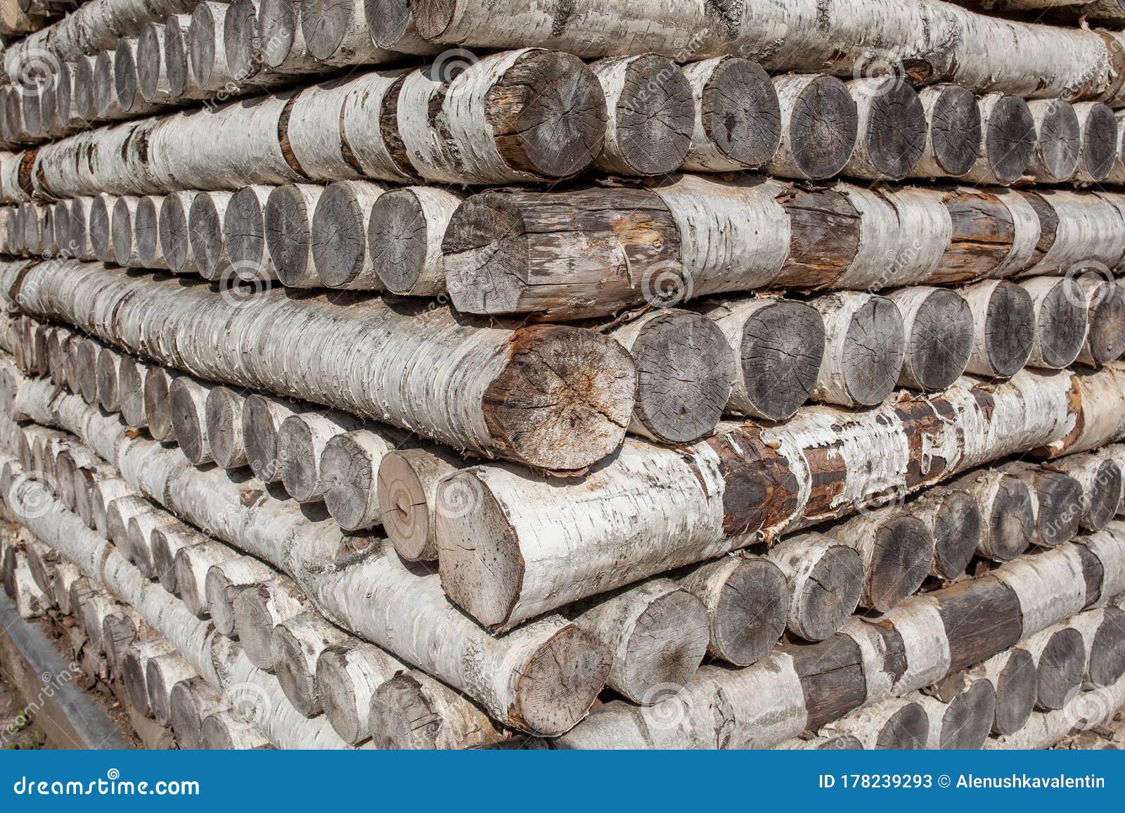Birch logs stock image. Image of lumber, birch, design - 178239293