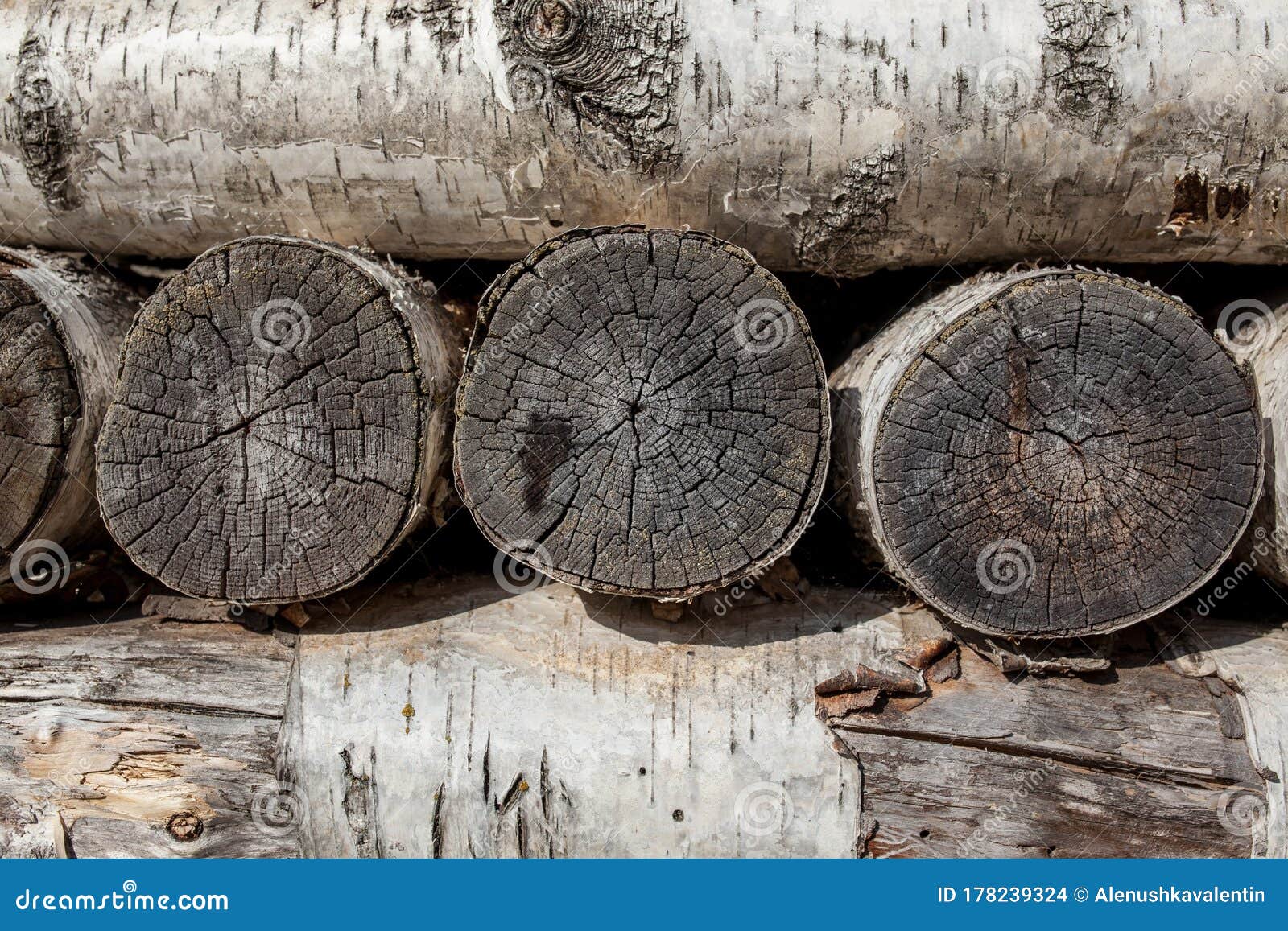 Birch logs stock photo. Image of timber, tree, traditional - 178239324