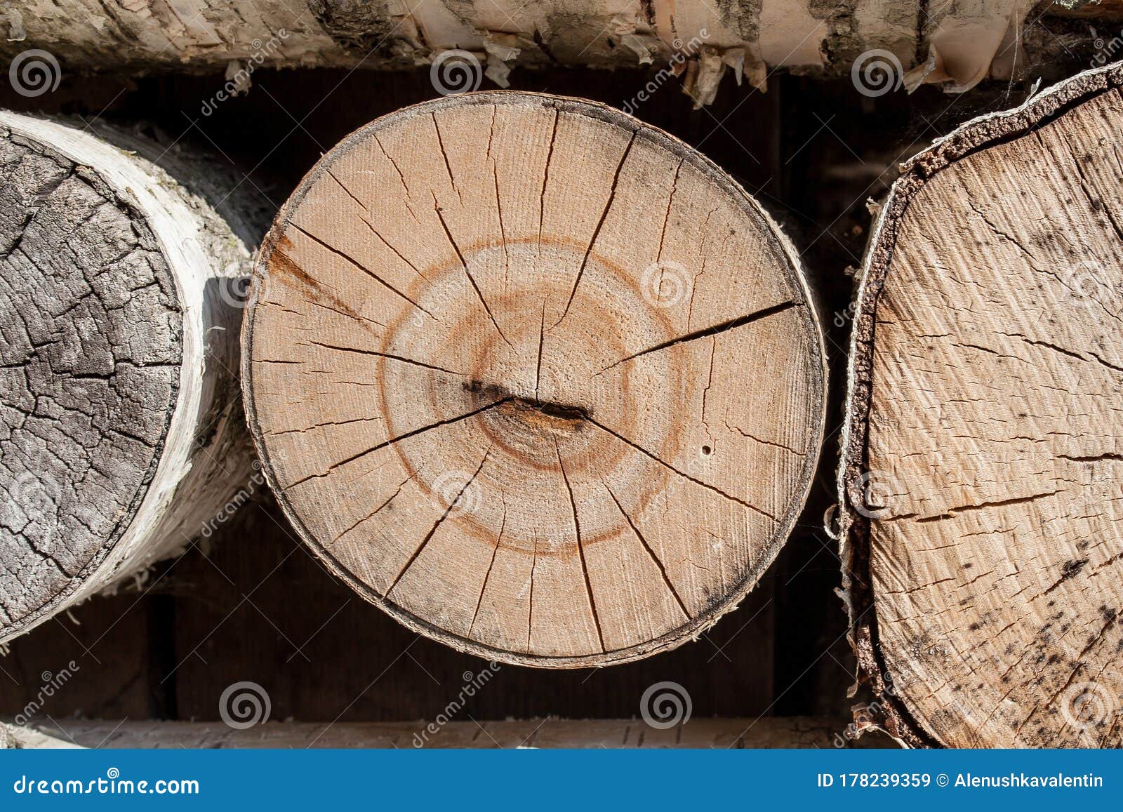 Birch logs stock image. Image of natural, brown, texture - 178239359