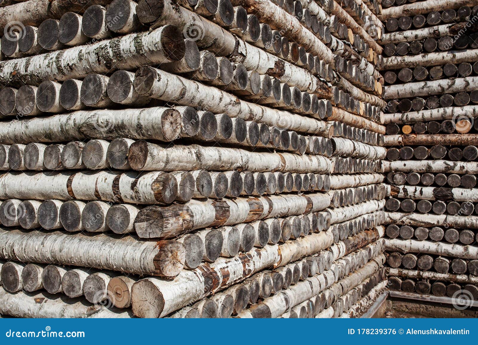 Birch logs stock photo. Image of tree, building, russia - 178239376
