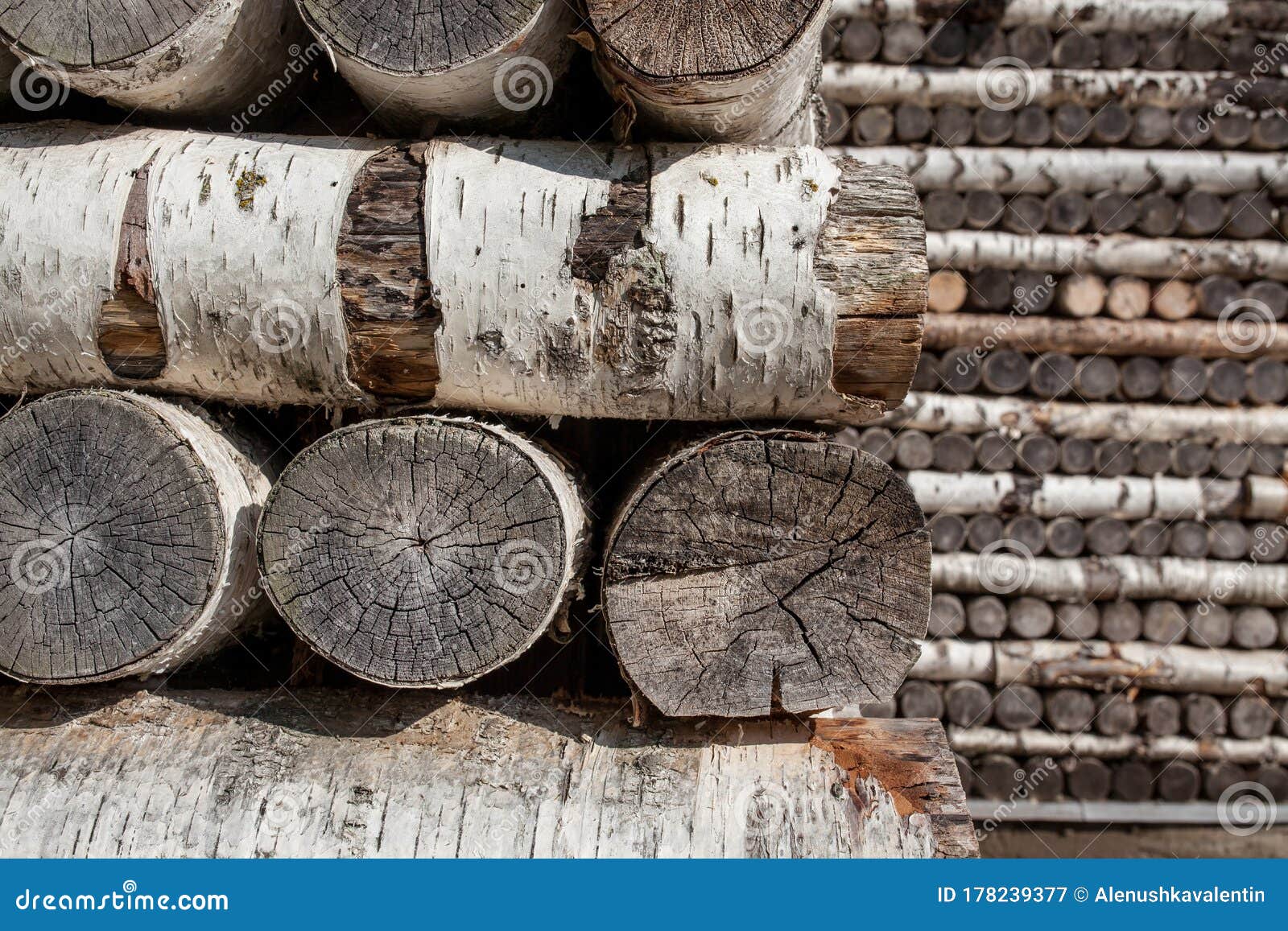 Birch logs stock image. Image of rough, building, natural - 178239377