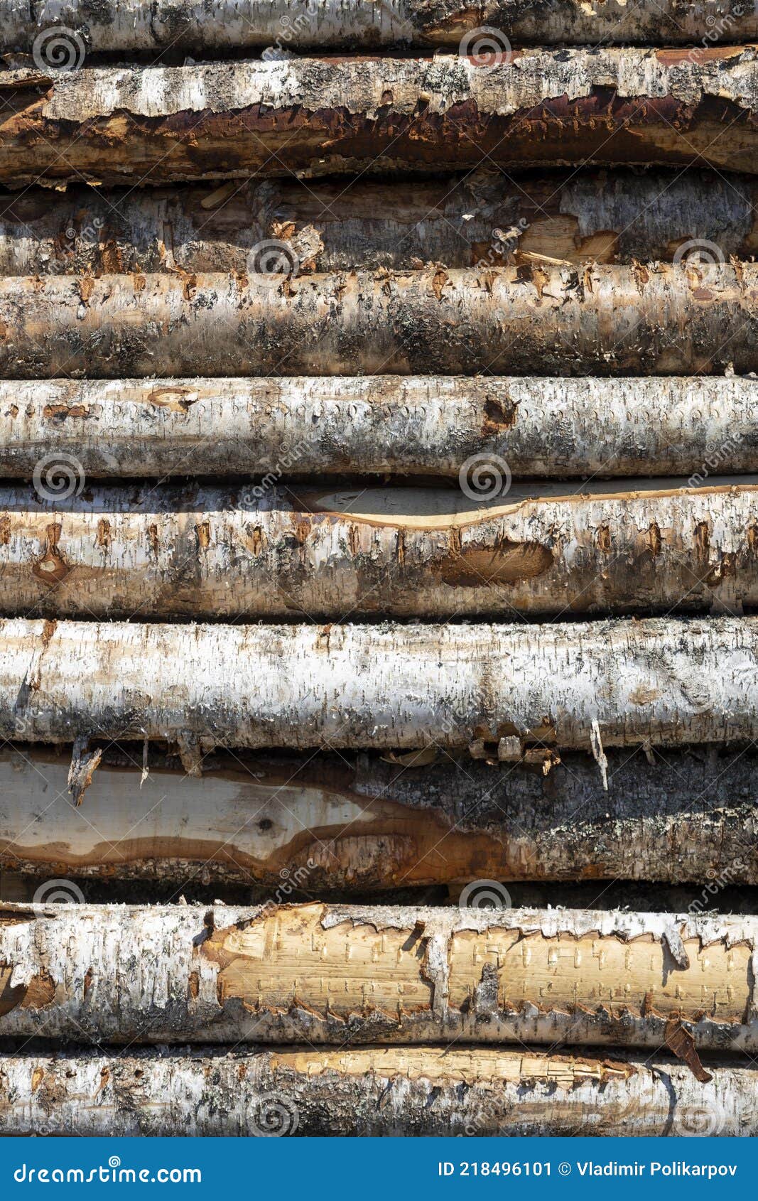 Stacks Of Timber In A Lumber Yard Stock Photography | CartoonDealer.com ...