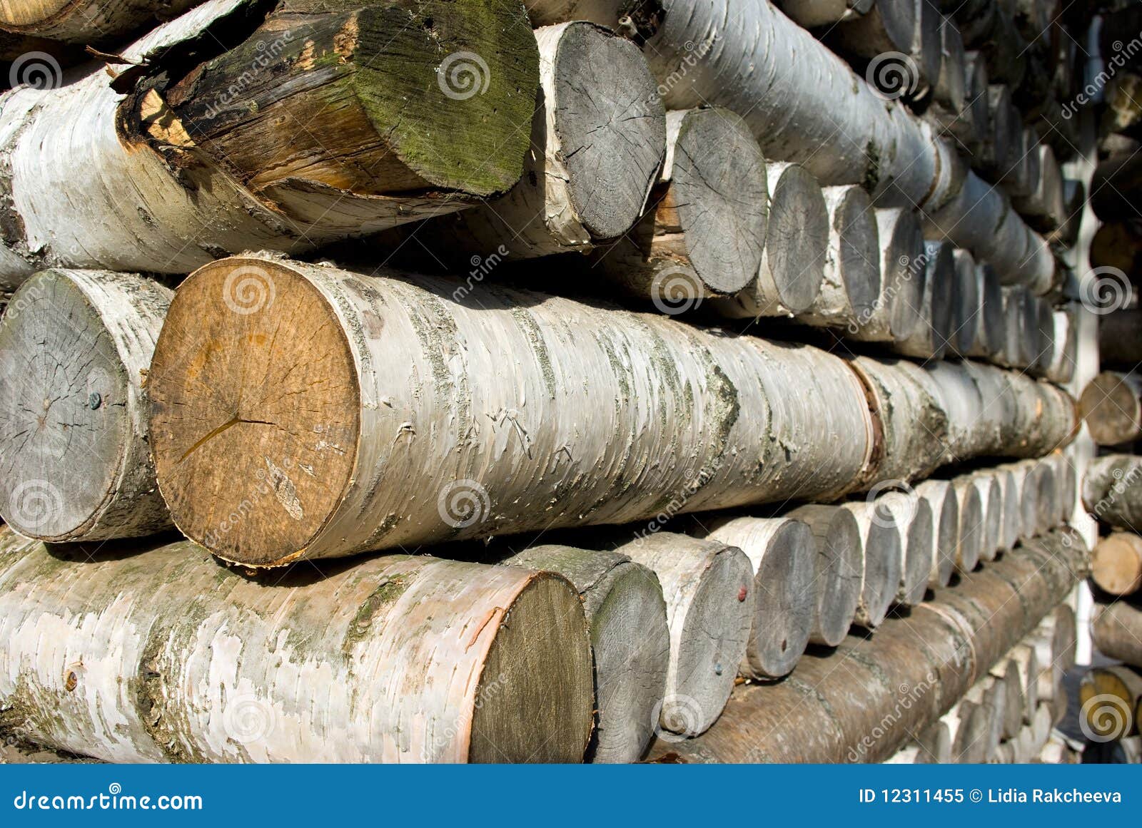 Birch logs stack stock image. Image of forest, exterior - 12311455