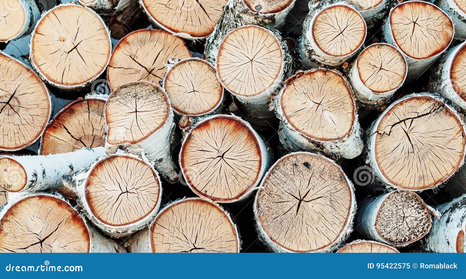 Birch logs texture stock image. Image of aspentree, pile - 95422575