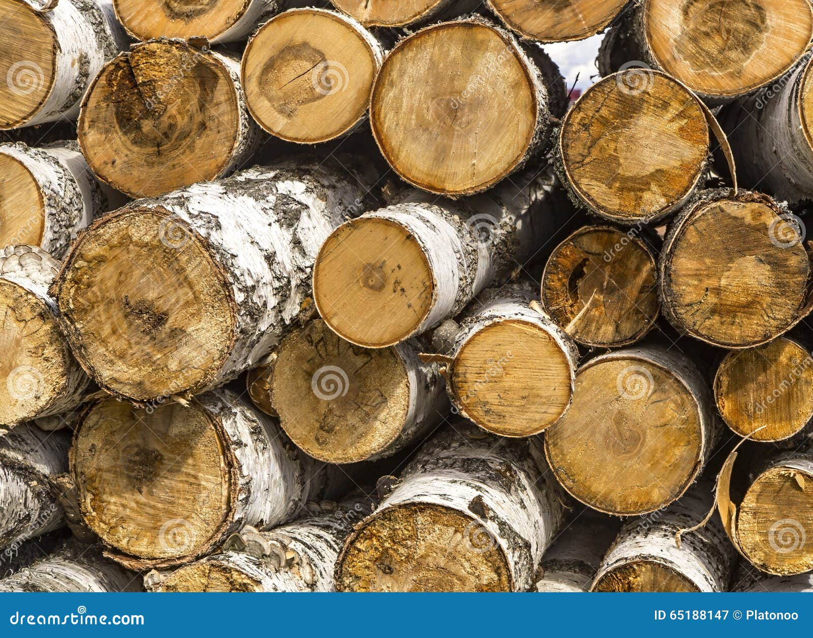 Birch logs. stock image. Image of built, abstract, background - 65188147