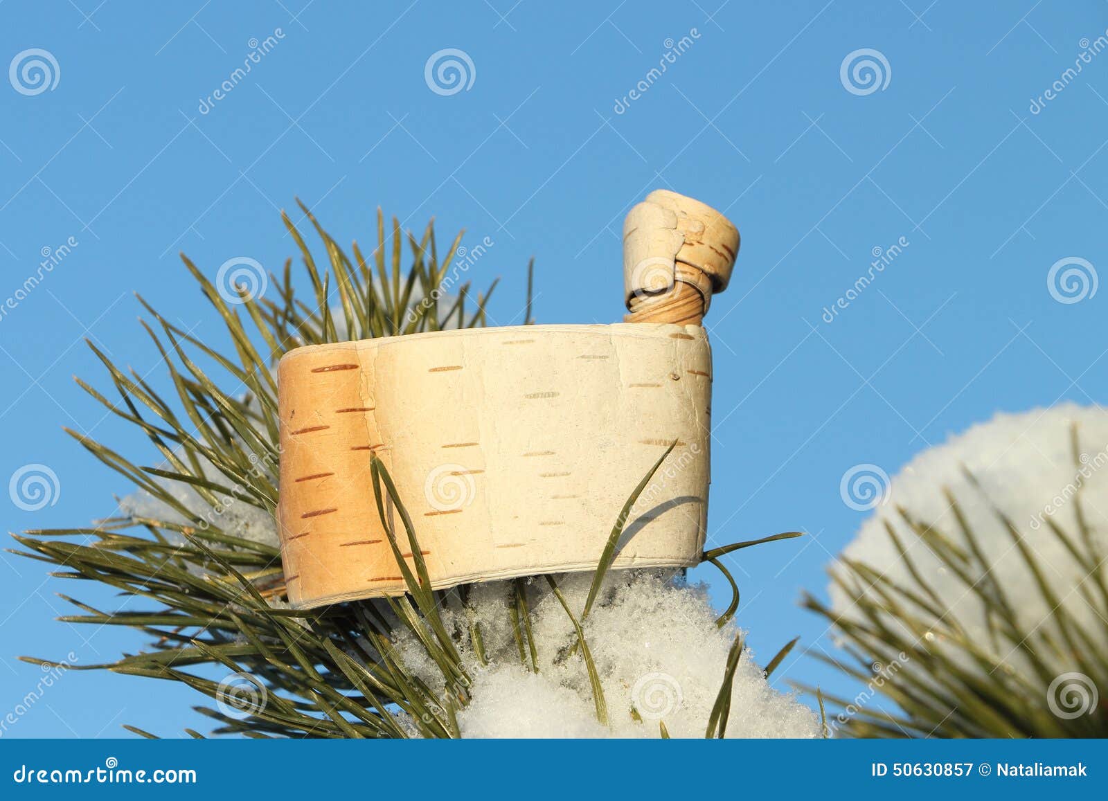 Birch scroll stock image. Image of copy, pine, beauty - 50630857