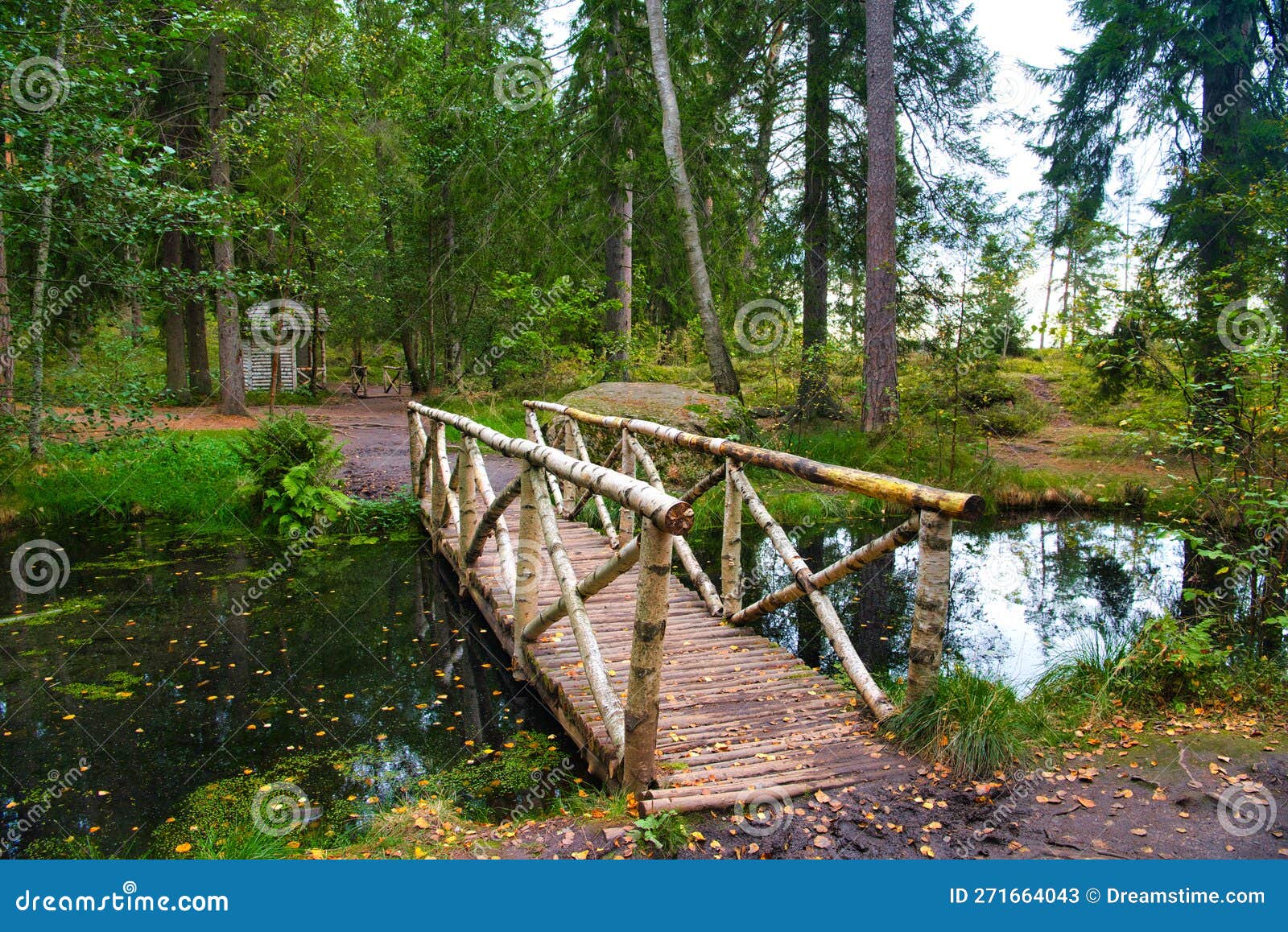 Birch Small Bridge in the Forest, Park Mon Repos, Vyborg, Russia Stock ...
