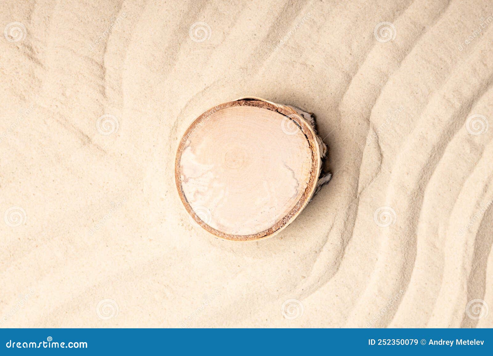 Birch Stump on a Sandy Surface Stock Image - Image of dune, waves ...