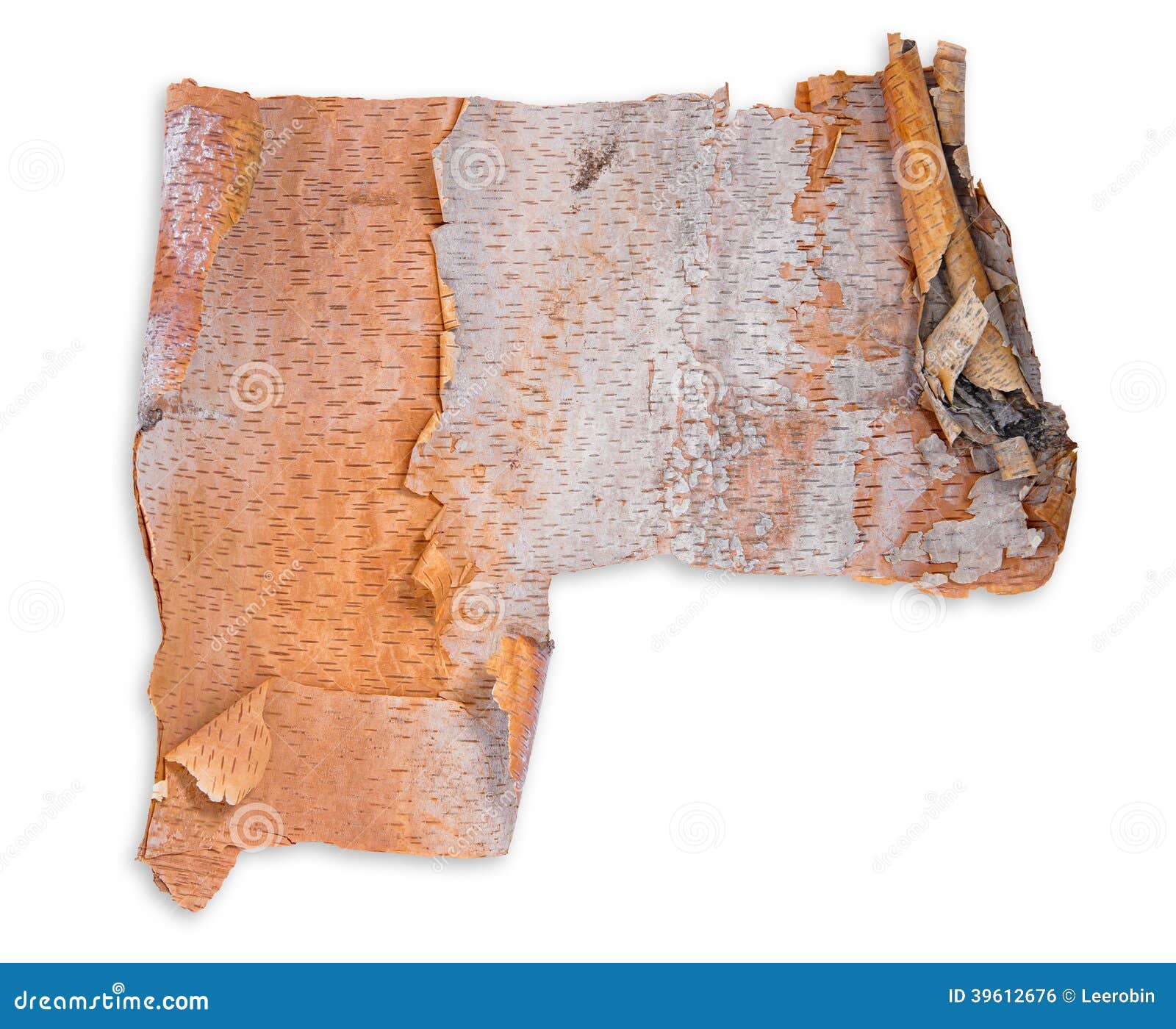 Birch Tree Bark Texture Background Stock Photo - Image of background ...