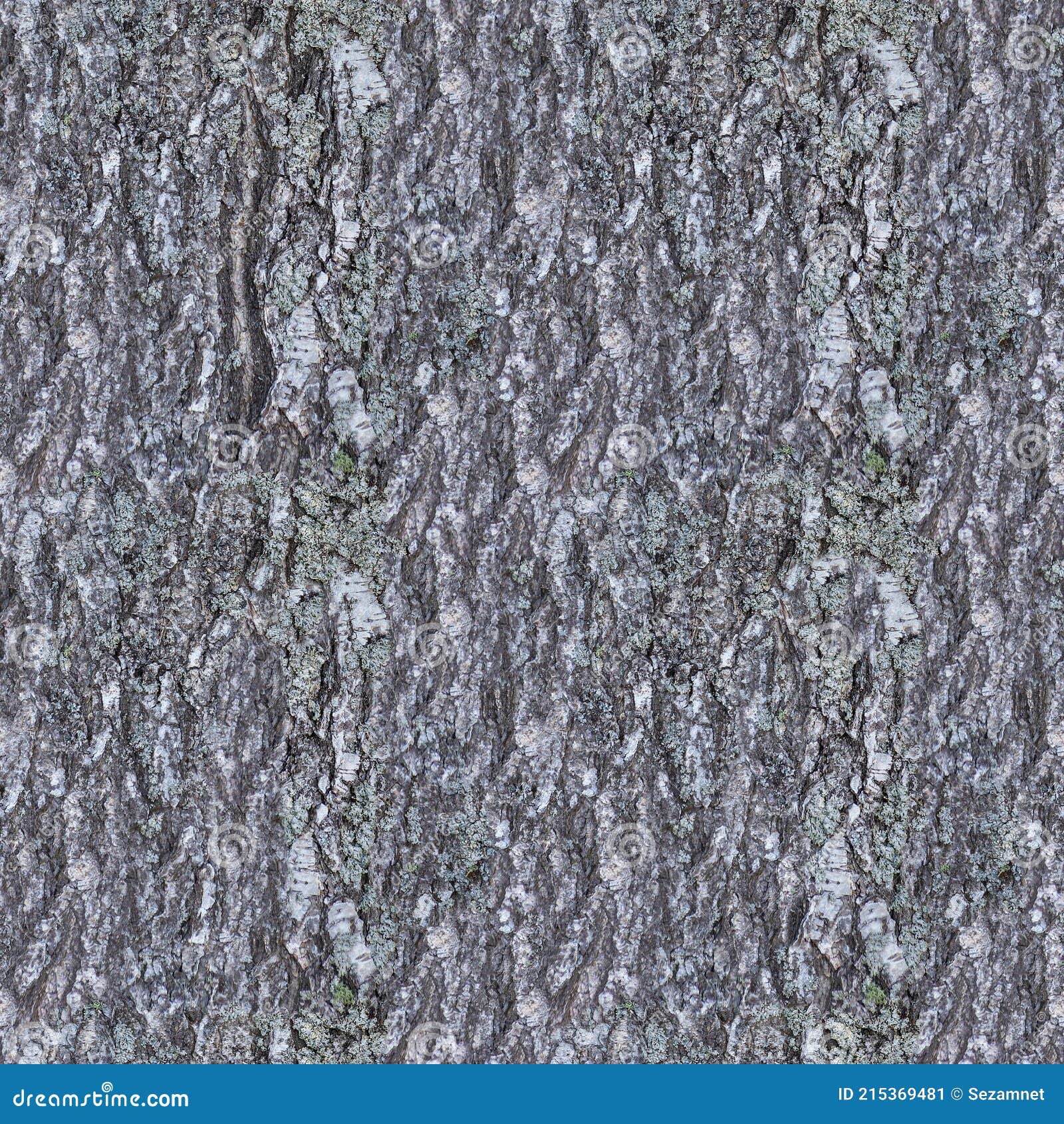Seamless Birch Tree Bark Texture