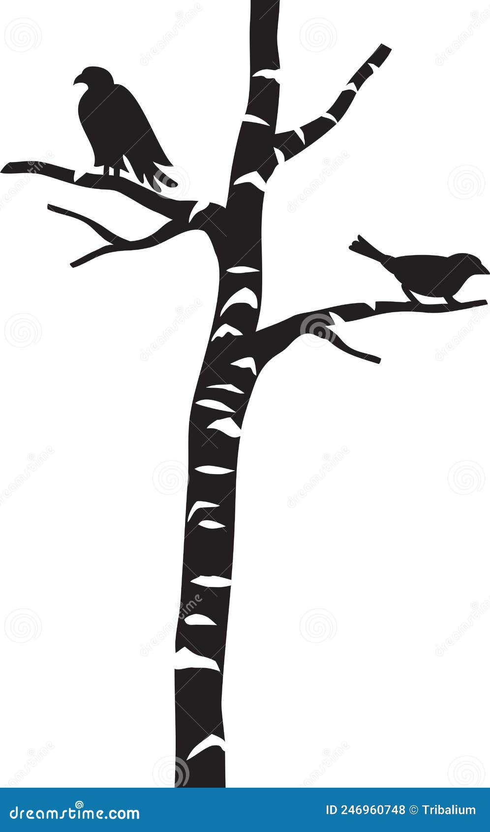 Birch Tree with Birds Vector Stock Vector - Illustration of season ...