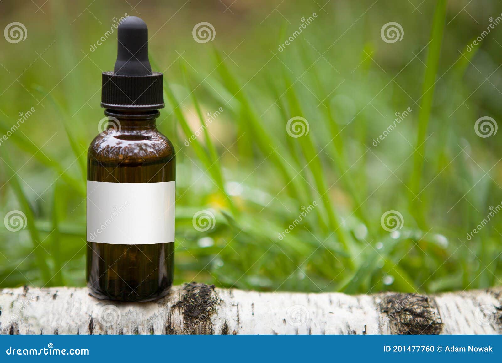 Birch Tree Extract - a Bottle with a Dropper Stock Photo - Image of ...
