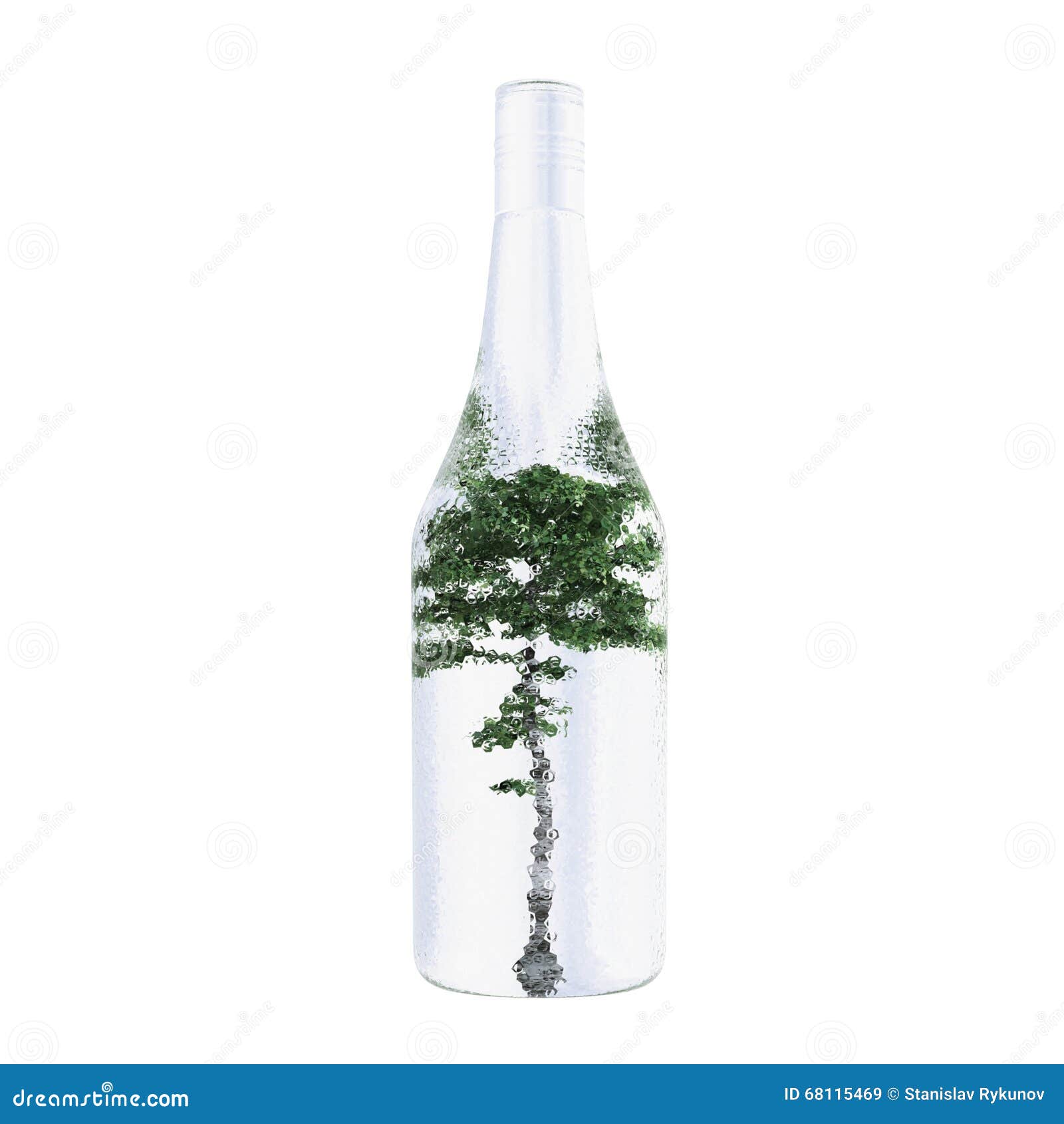 Birch a Tree Inside the Bottle, a Tree Inside the Bottle, Birch in a ...