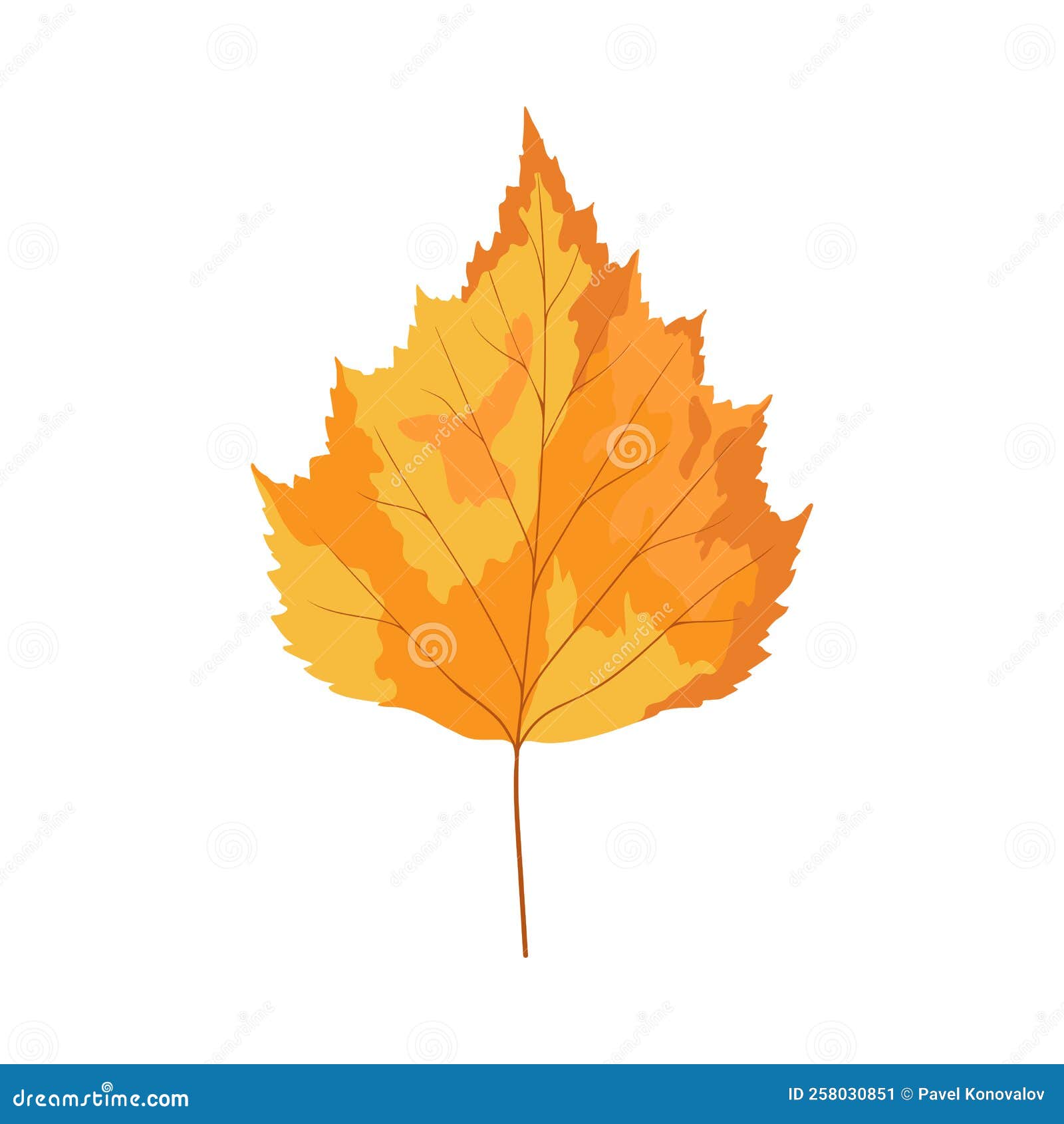 Birch Tree Leaf stock vector. Illustration of leaves - 258030851