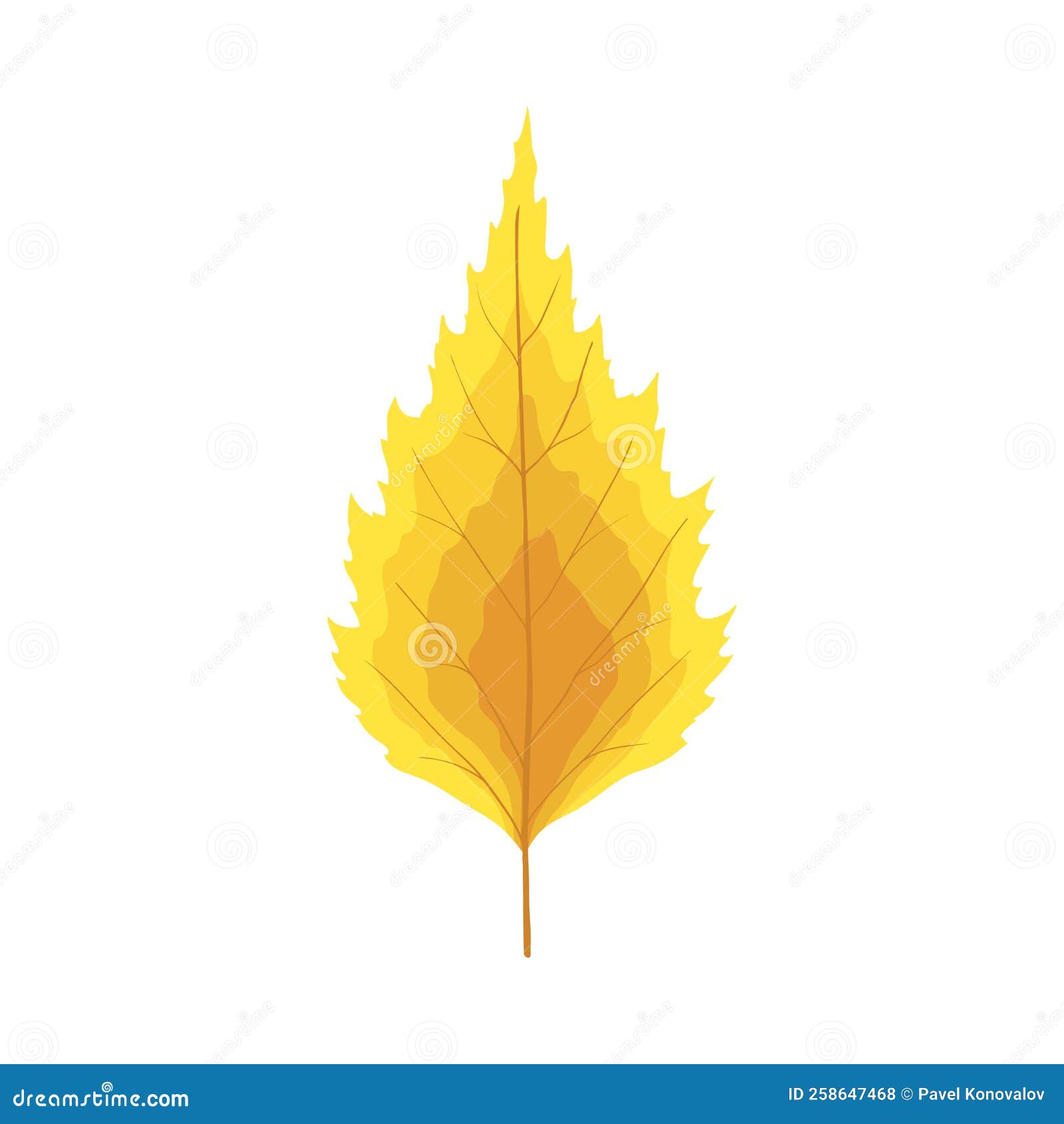 Birch Tree Leaf stock vector. Illustration of forest - 258647468