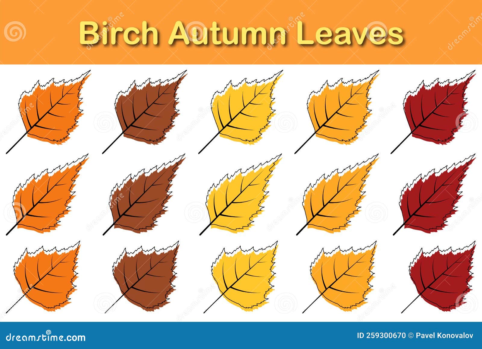 Birch Tree Leaf Set stock vector. Illustration of orange - 259300670
