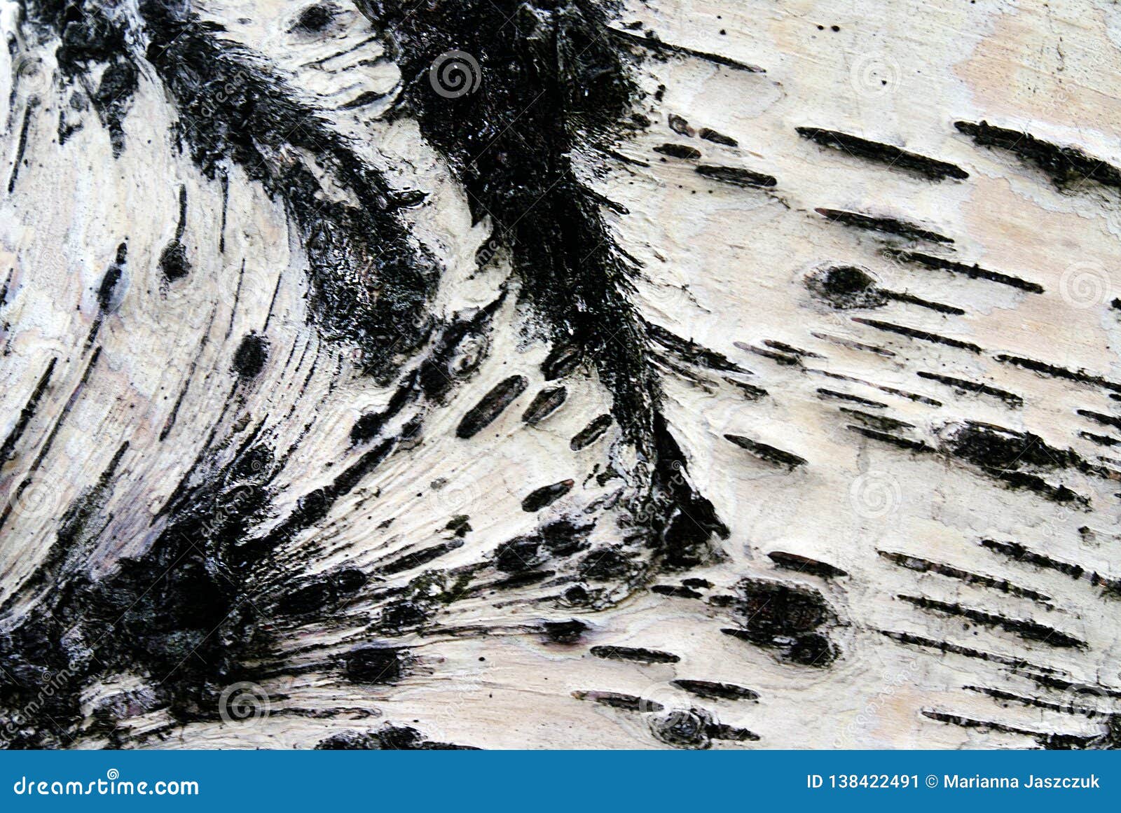 Birch-tree Natural Background or Pattern. Stock Image - Image of trunk ...