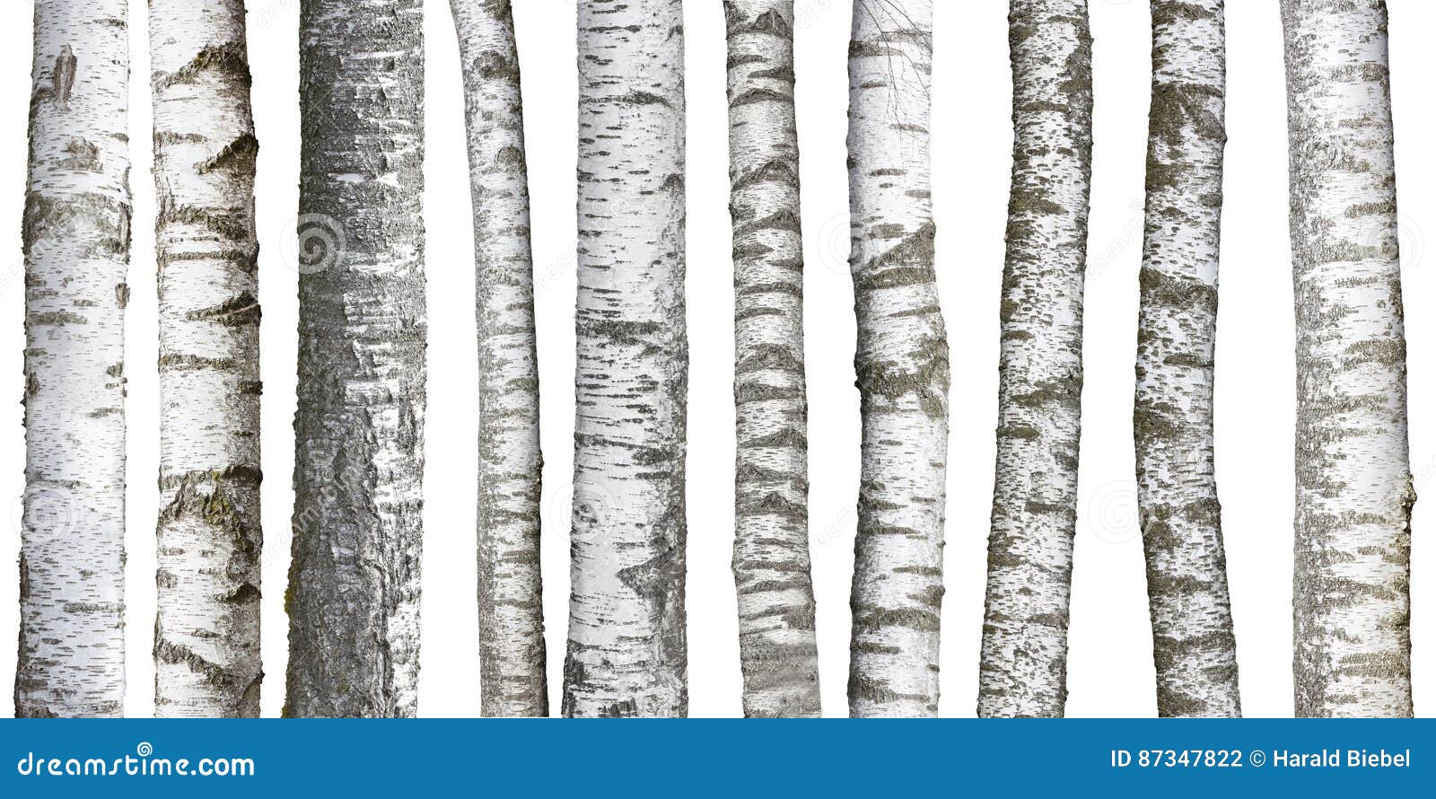 Tree Trunks Stacked And Gravel Background - Shades Of Grey Stock ...