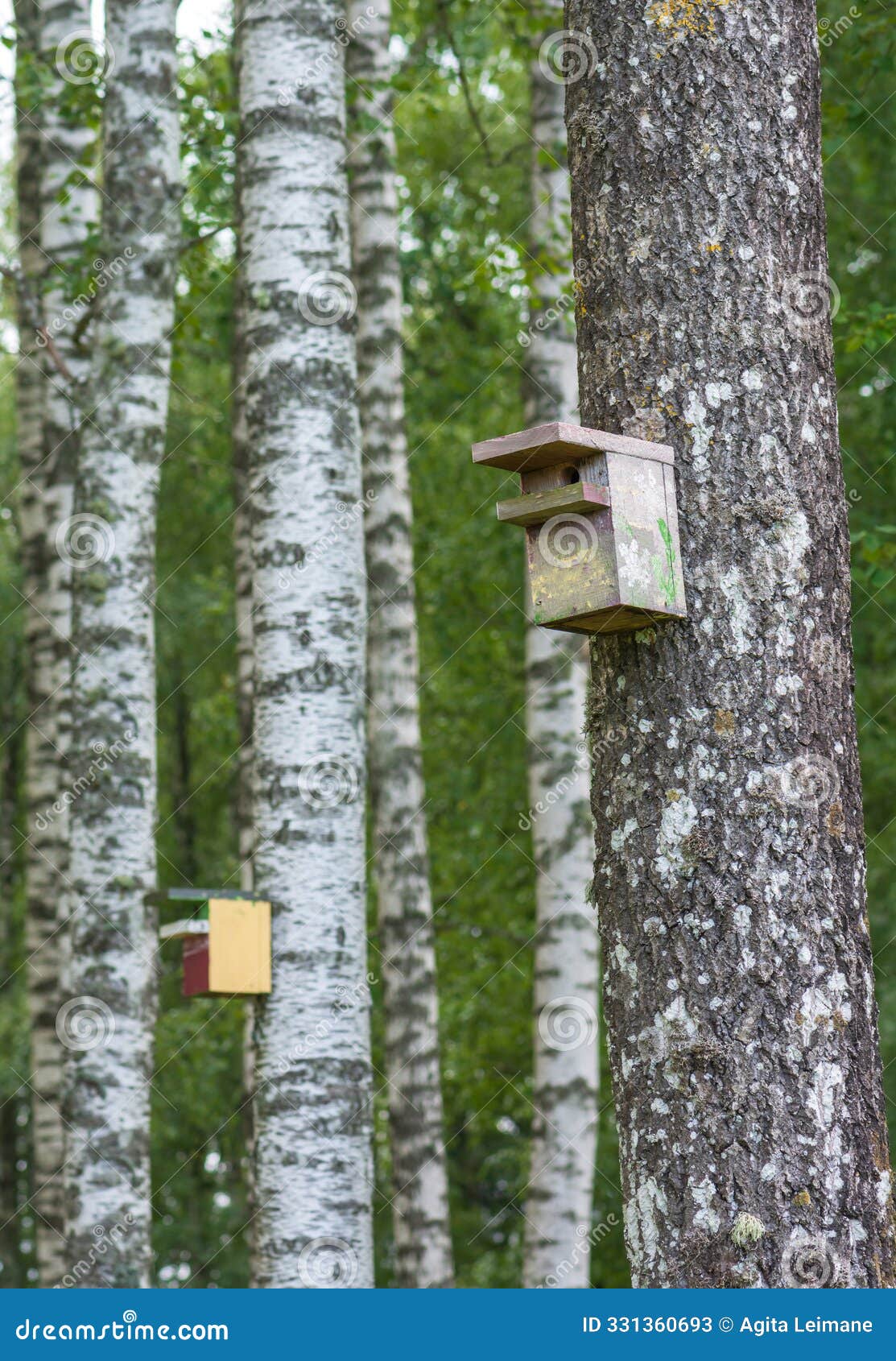 Nesting-boxes Royalty-Free Stock Image | CartoonDealer.com #24902902