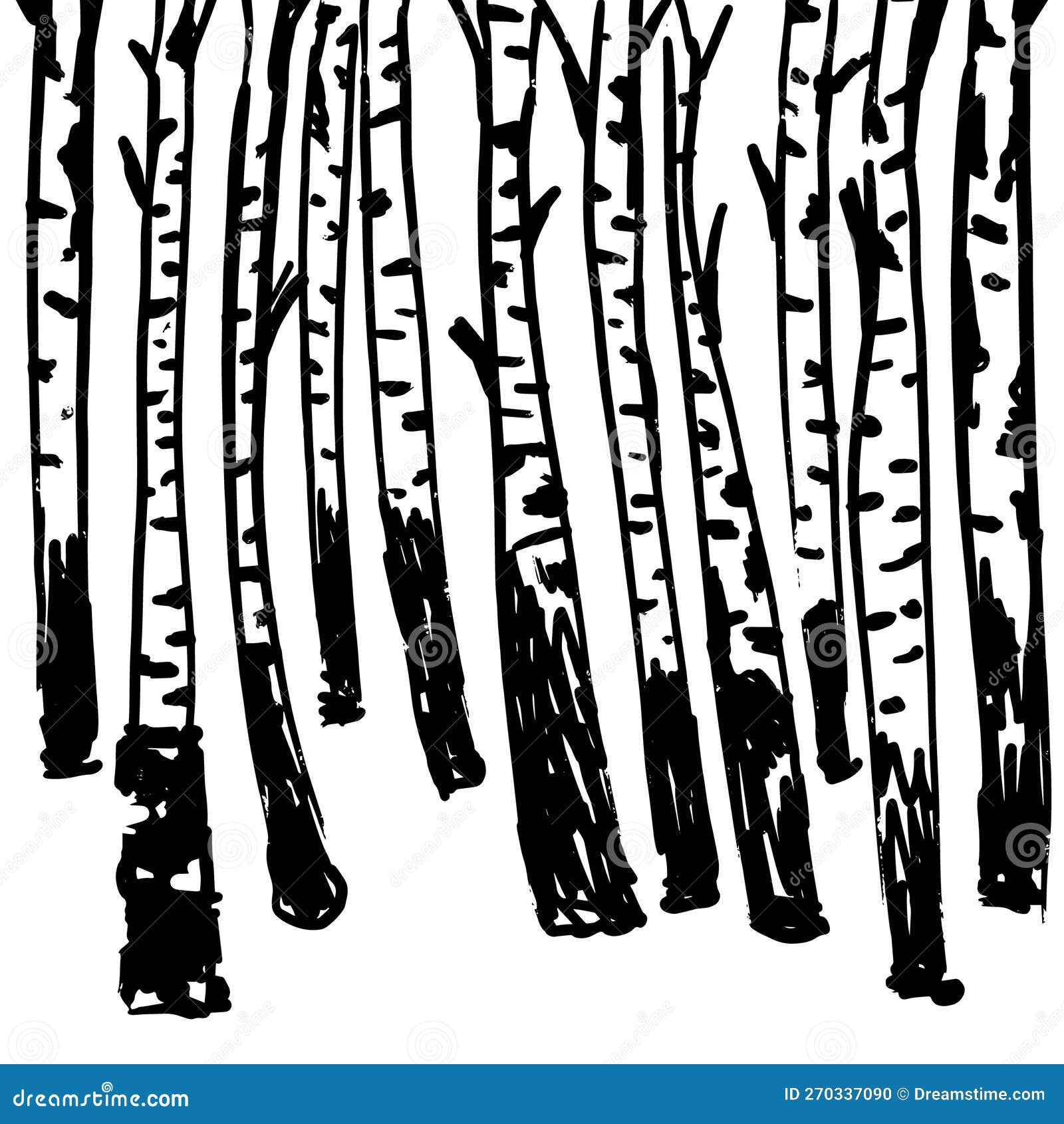 Birch Trees. Vector Background. Hand Drawn Vector Illustration in ...