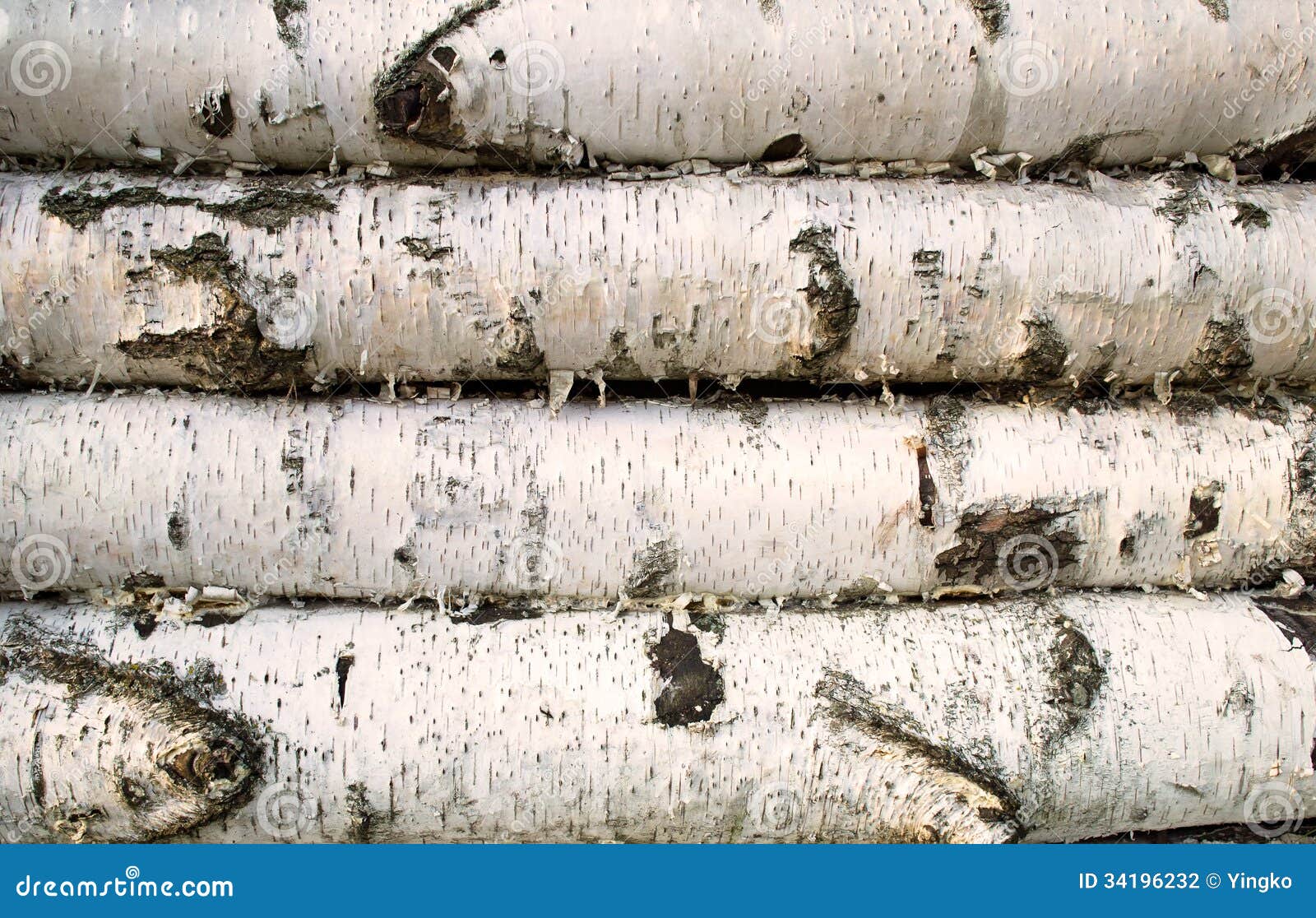 Birch wood background stock photo. Image of house, design - 34196232