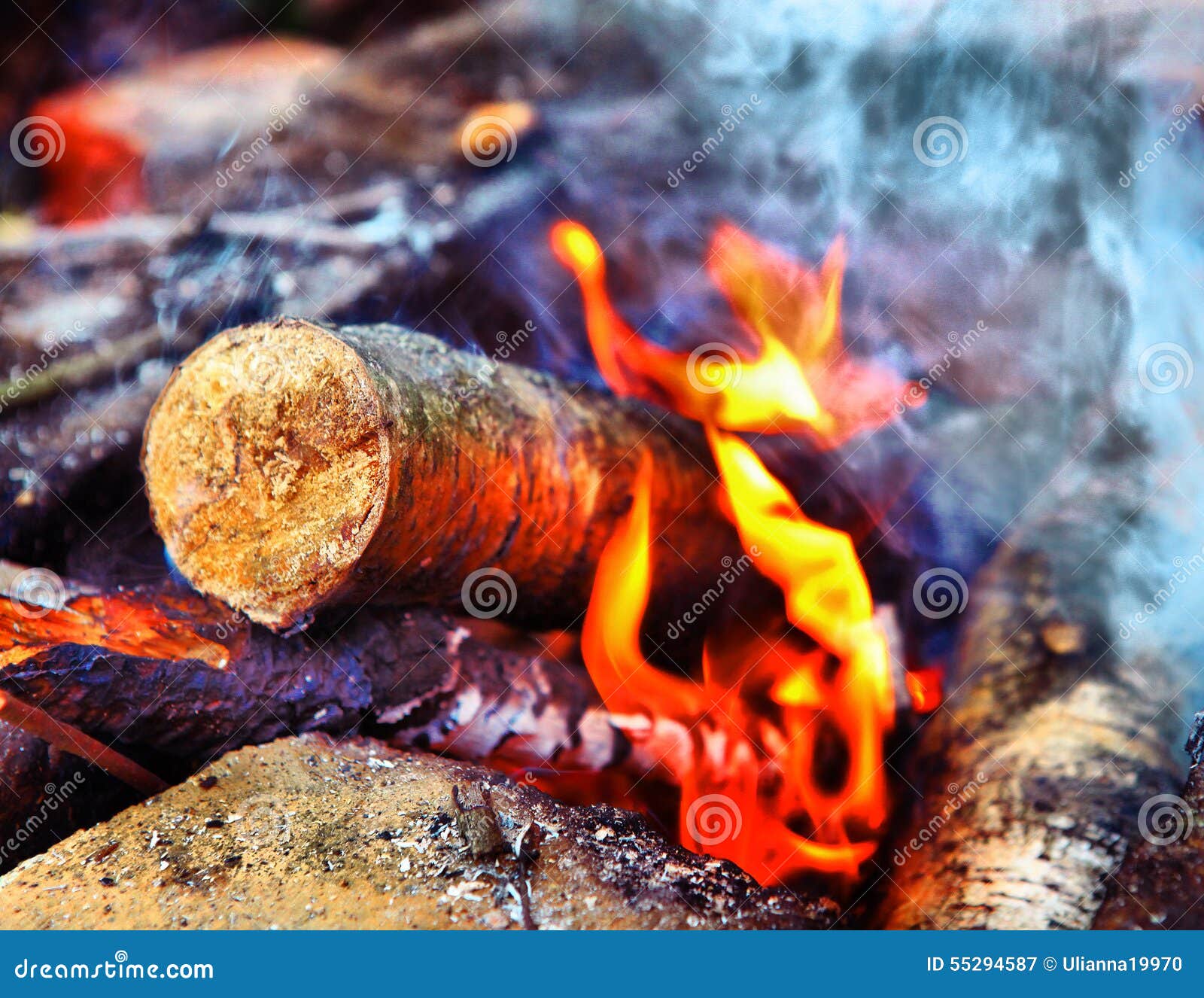 Birch wood on fire flame stock image. Image of background - 55294587