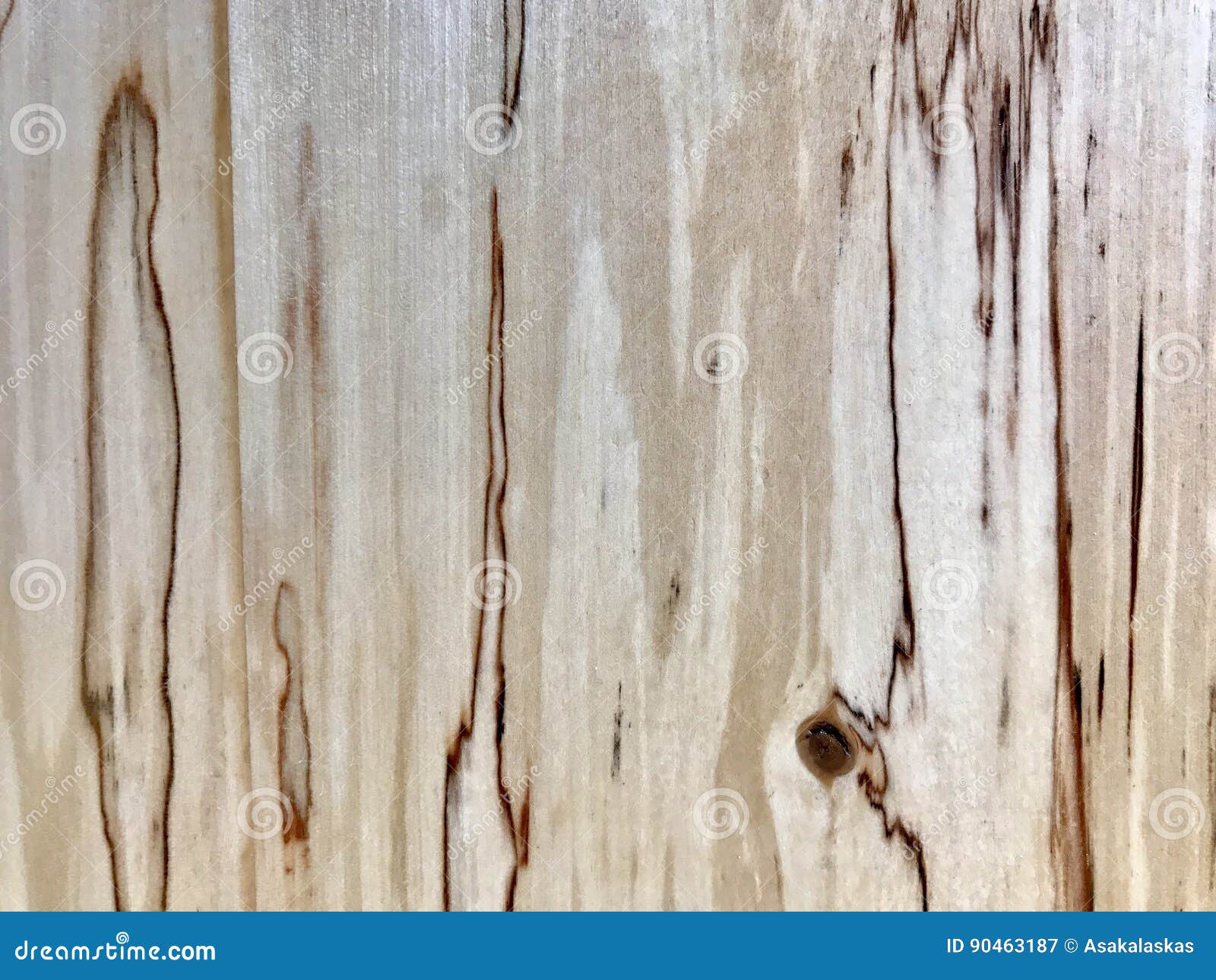 Birch wood grain stock image. Image of grain, close, tree - 90463187