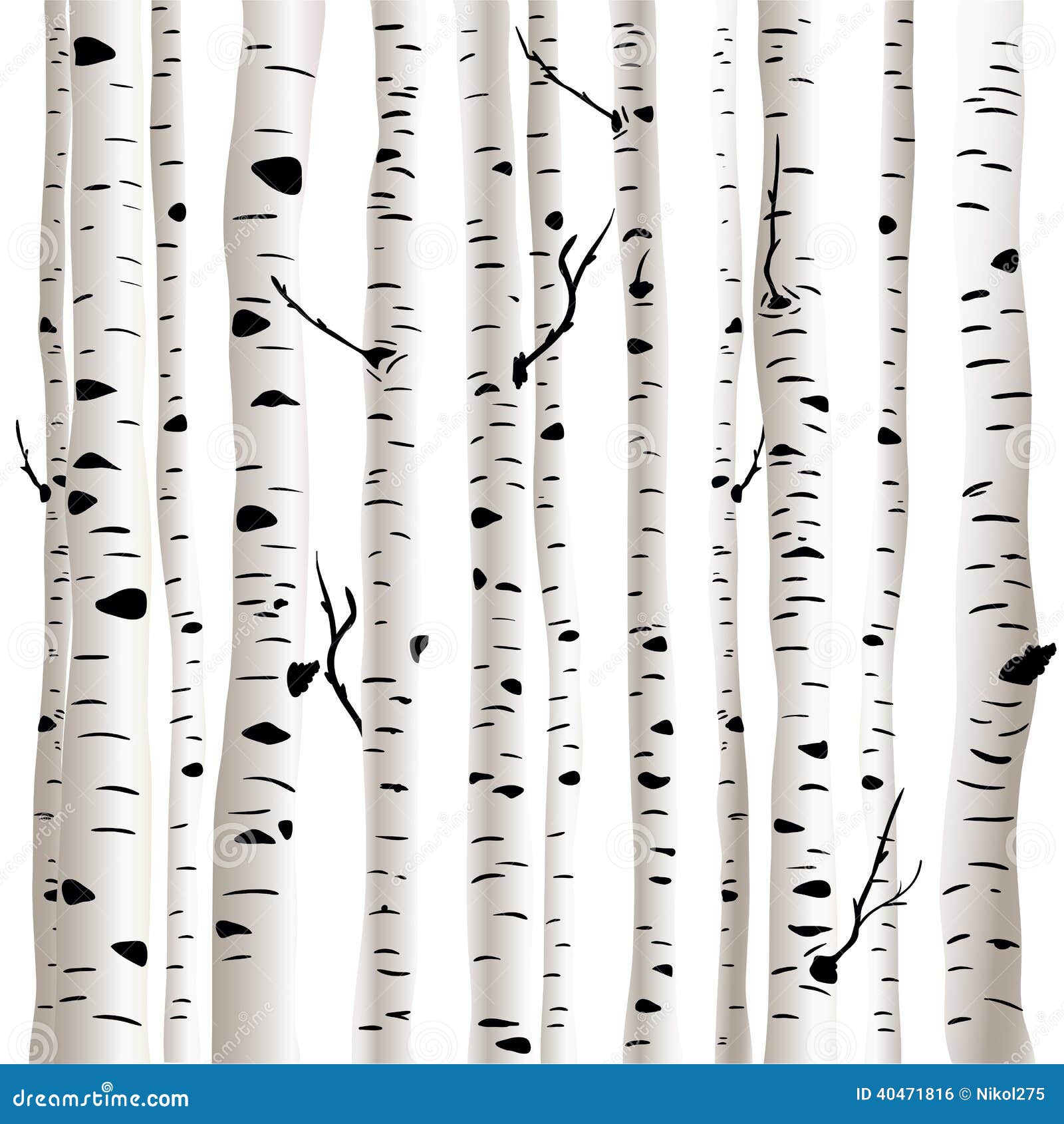 Birches in vector stock vector. Illustration of season - 40471816