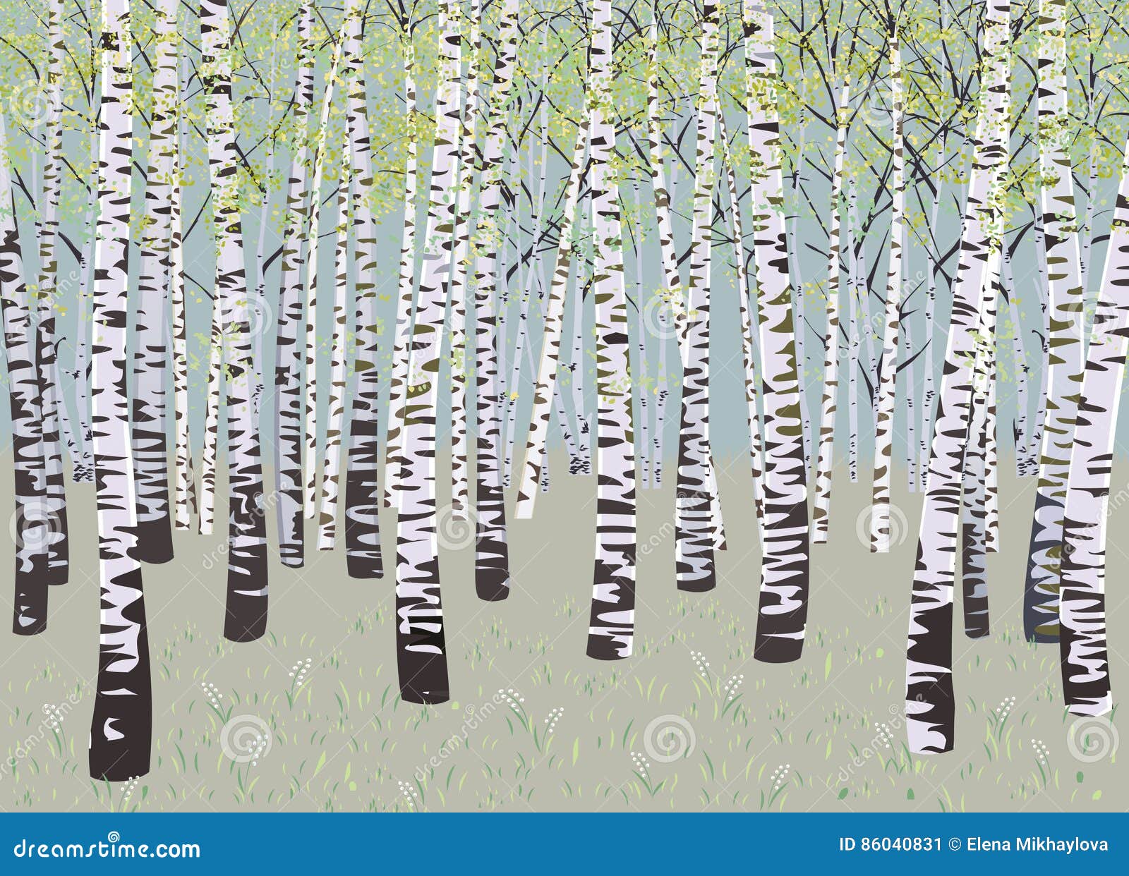 Birches stock vector. Illustration of graphic, light - 86040831