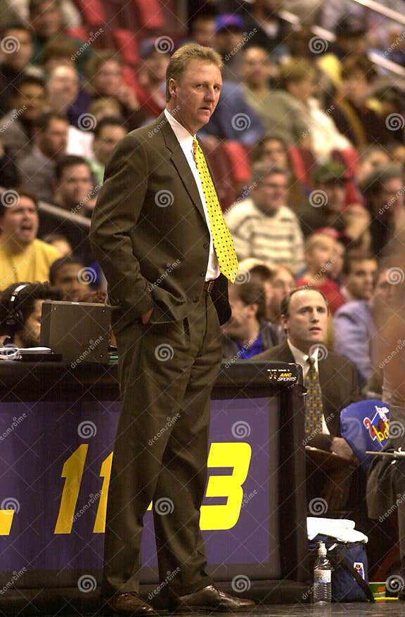 Bird editorial stock photo. Image of indiana, bird, fame - 21775428