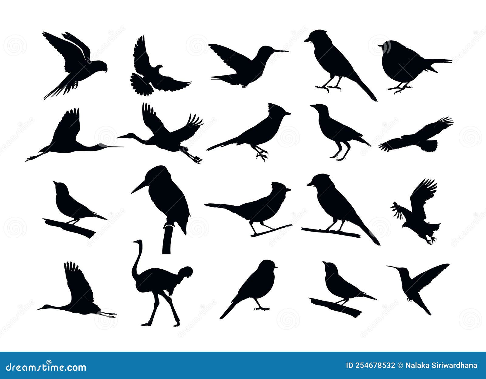 Detailed Vectoral Bird Silhouettes. Stock Vector - Illustration of bird ...